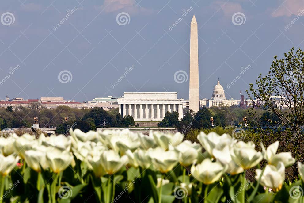 Washington DC Skyline with Tulips Stock Photo - Image of flowers ...