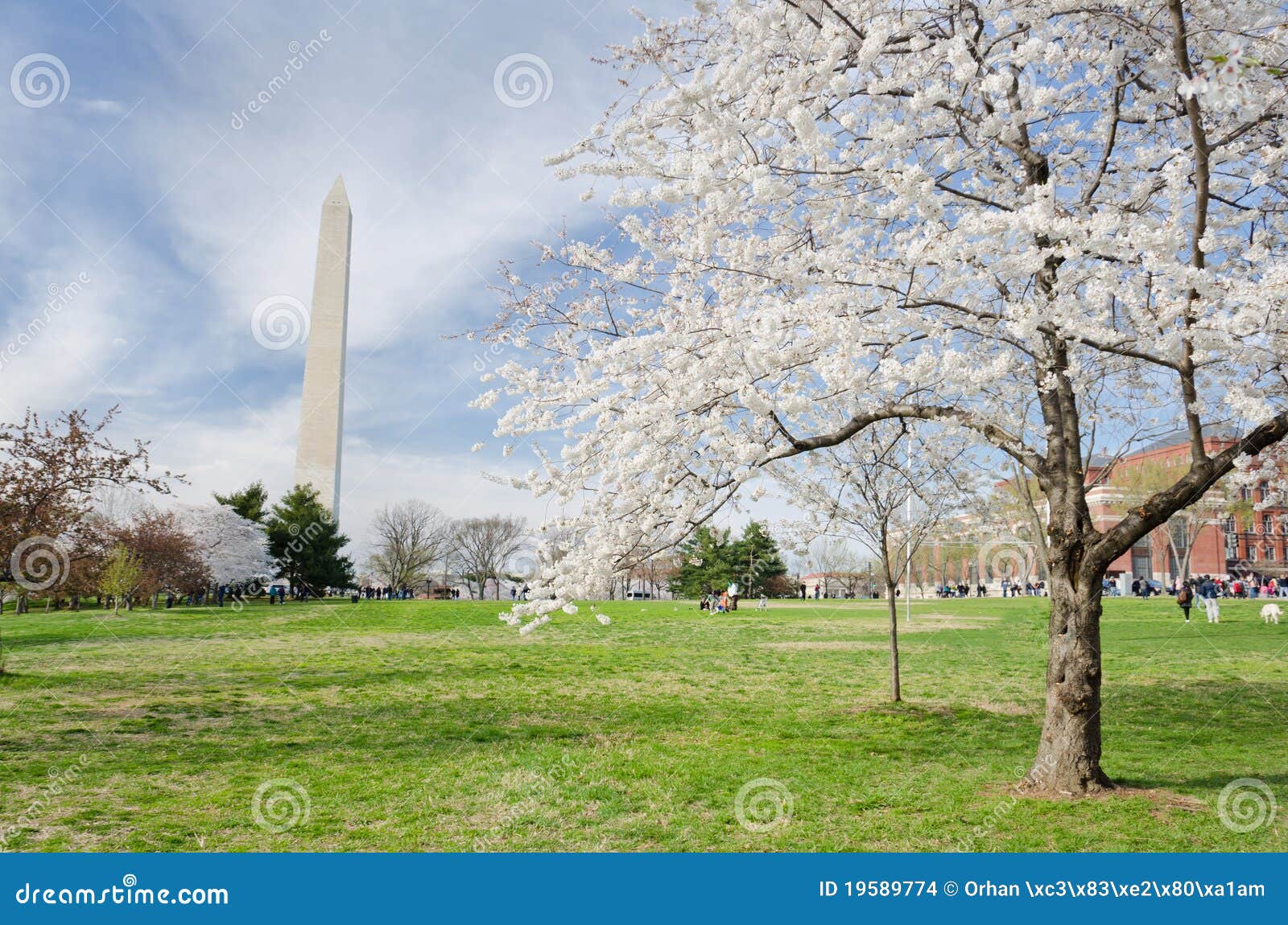 Washington DC in spring stock photo. Image of tourism - 19589774