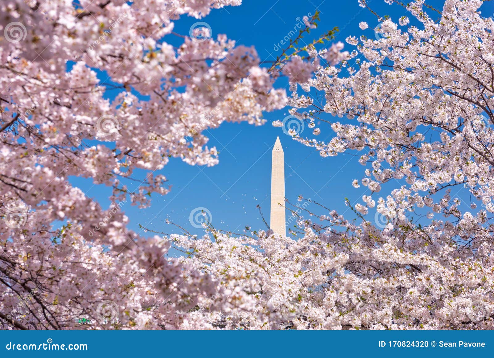 Washington DC in Spring Season Stock Photo - Image of famous, america ...