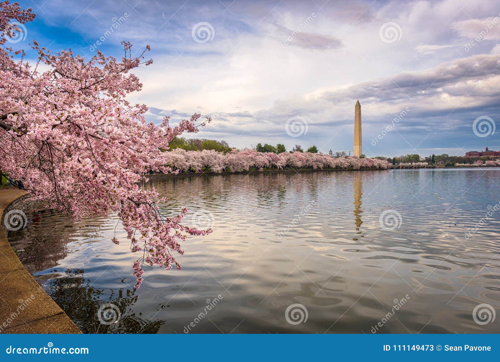 Washington DC in Spring stock image. Image of evening - 111149473