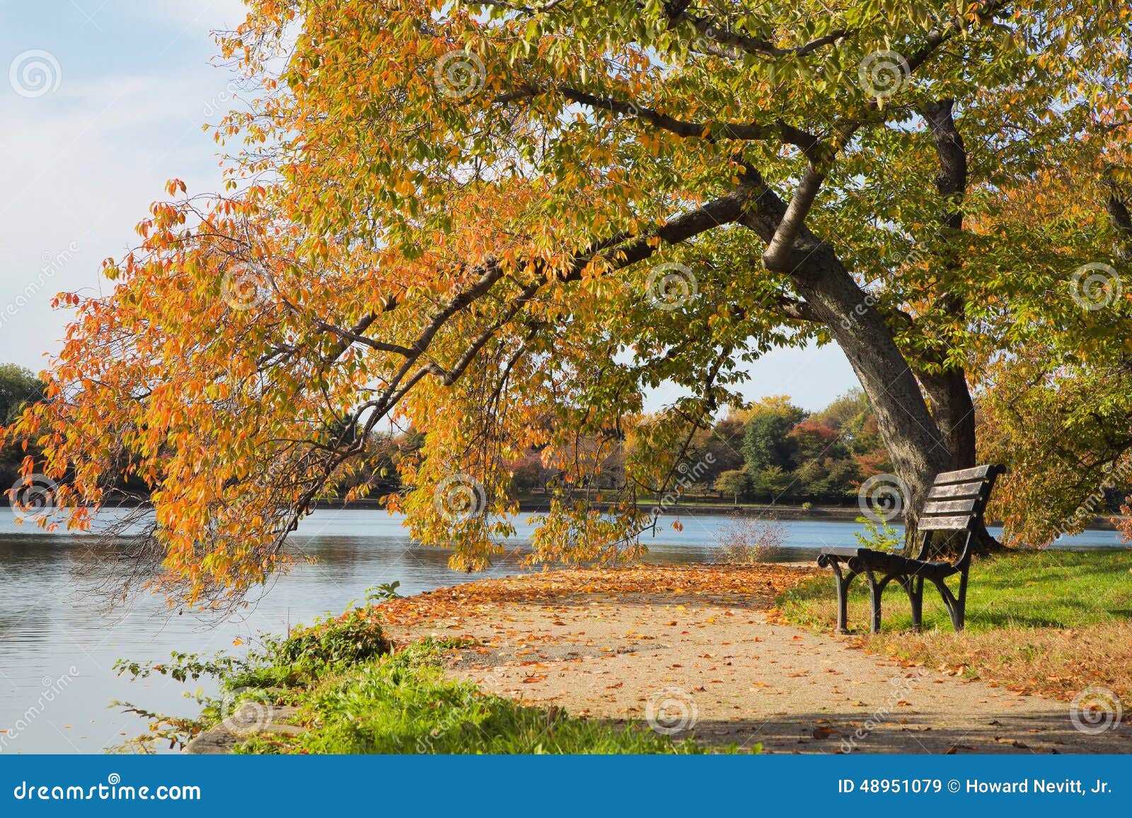 Washington DC Tidal Basin in Autumn Stock Image - Image of trees ...