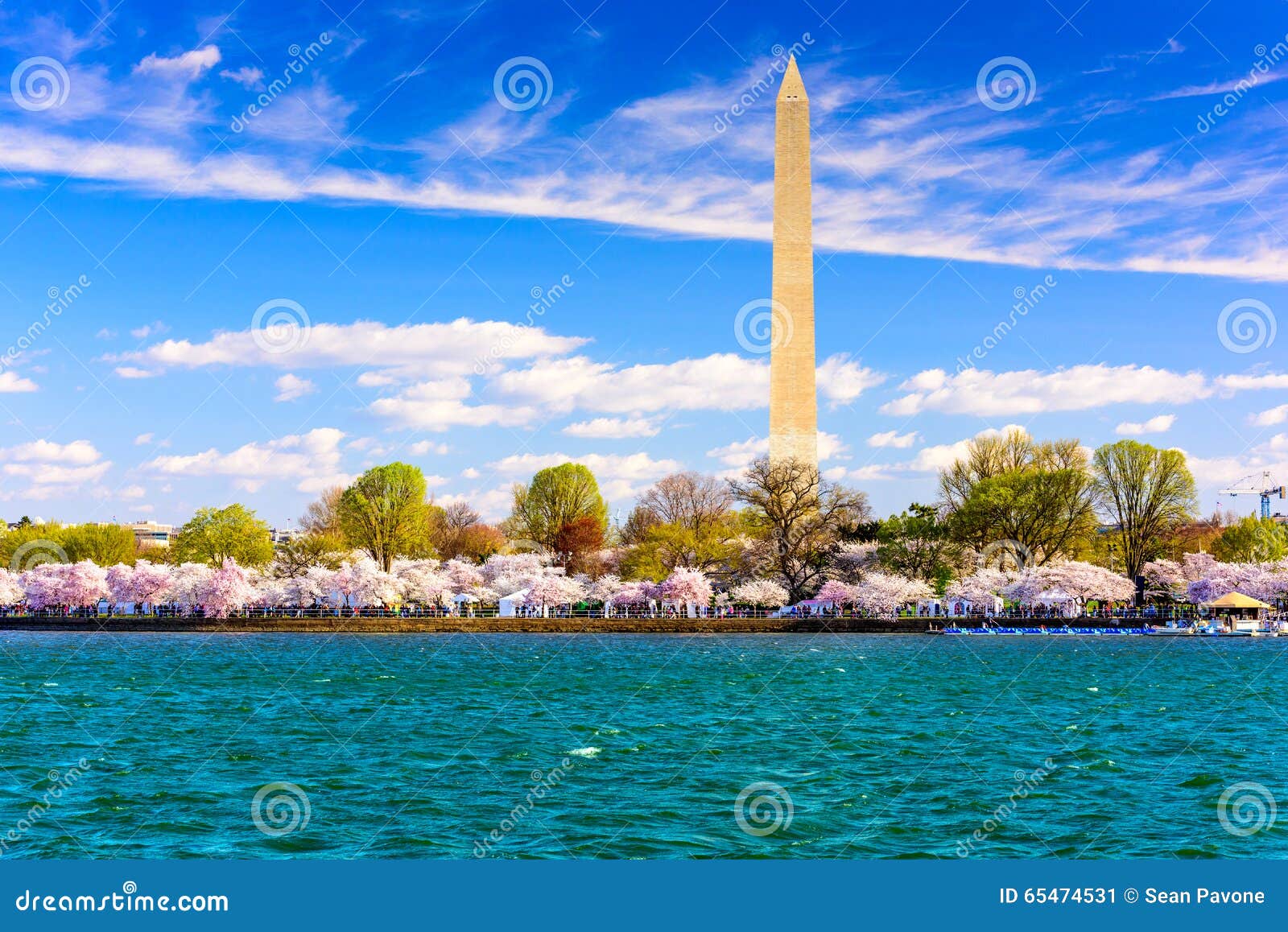 Tidal Basin At Dawn In Washington DC, During The Cherry Blossom ...