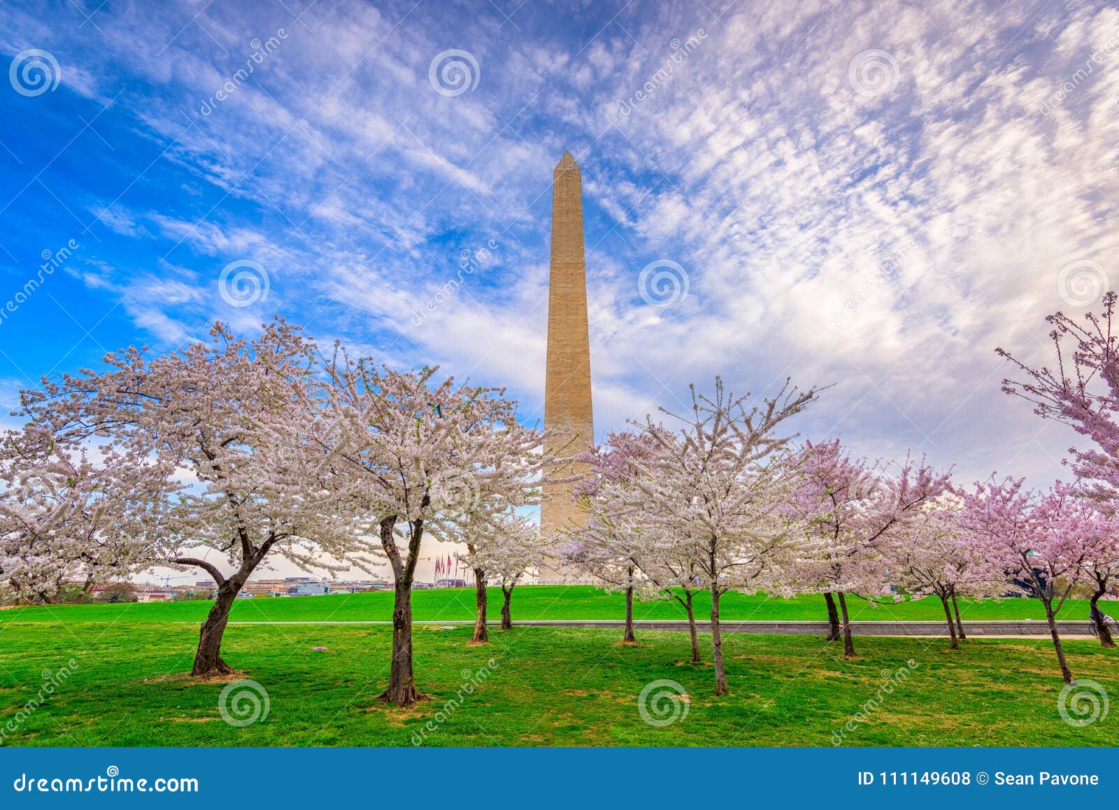 Washington DC in Spring stock photo. Image of floral - 111149608