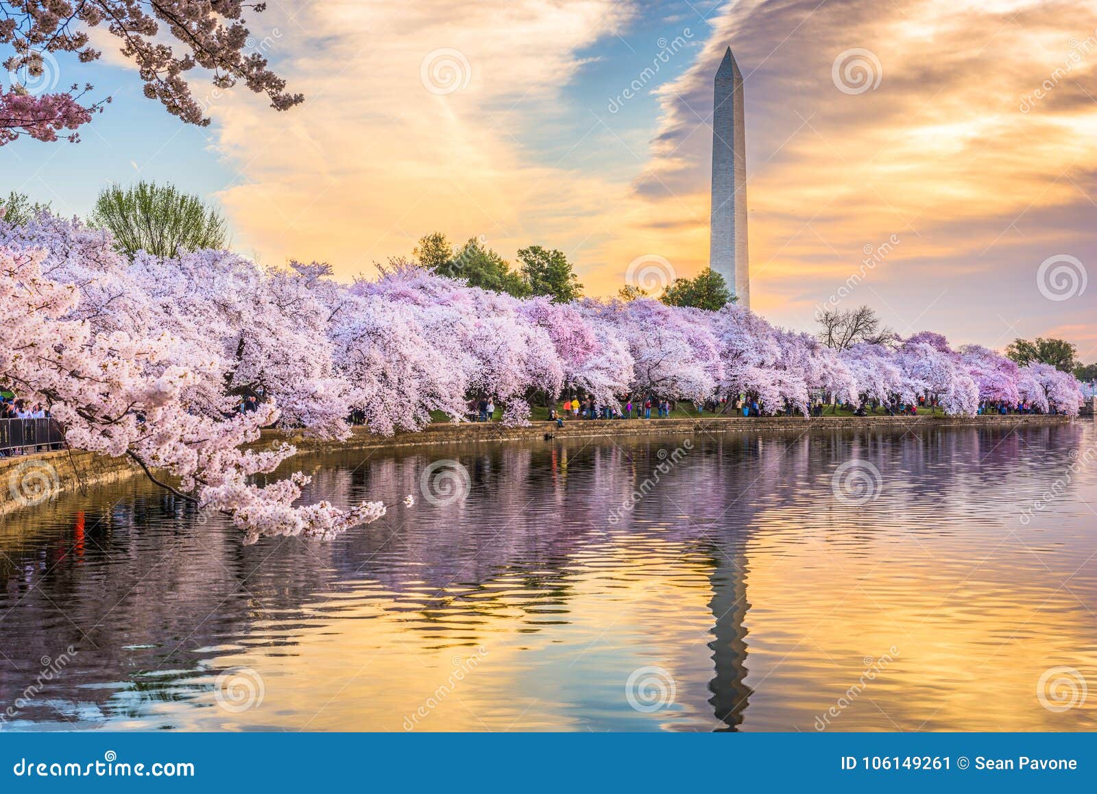 Washington DC, USA in Spring Stock Image - Image of lake, potomac ...