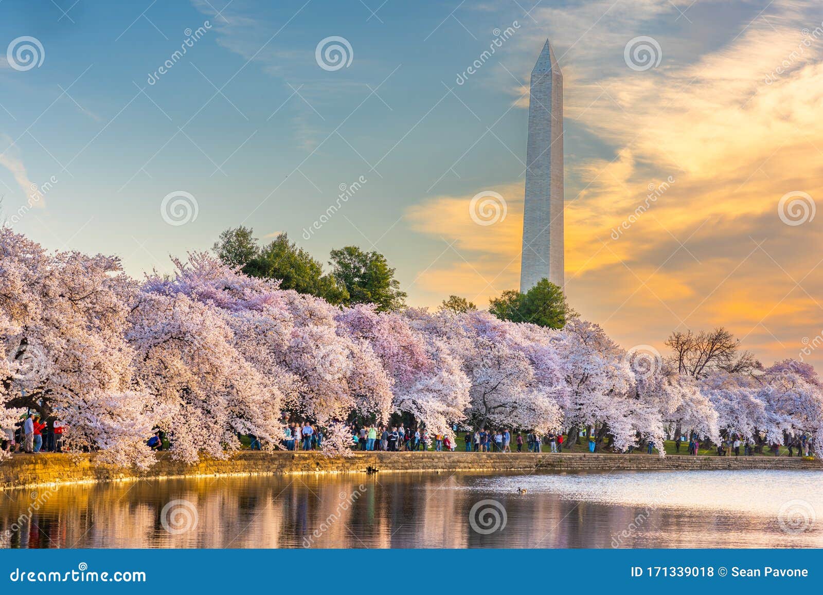 Washington DC, USA in Spring Editorial Stock Photo - Image of columbia ...