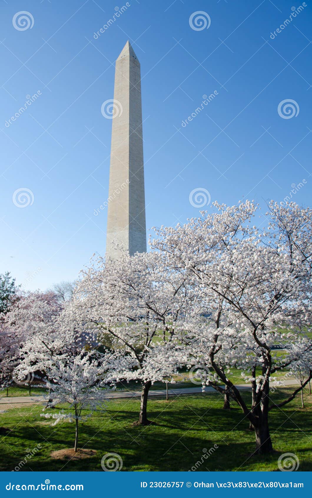 Washington DC, Washington Monument in Spring Stock Image - Image of ...