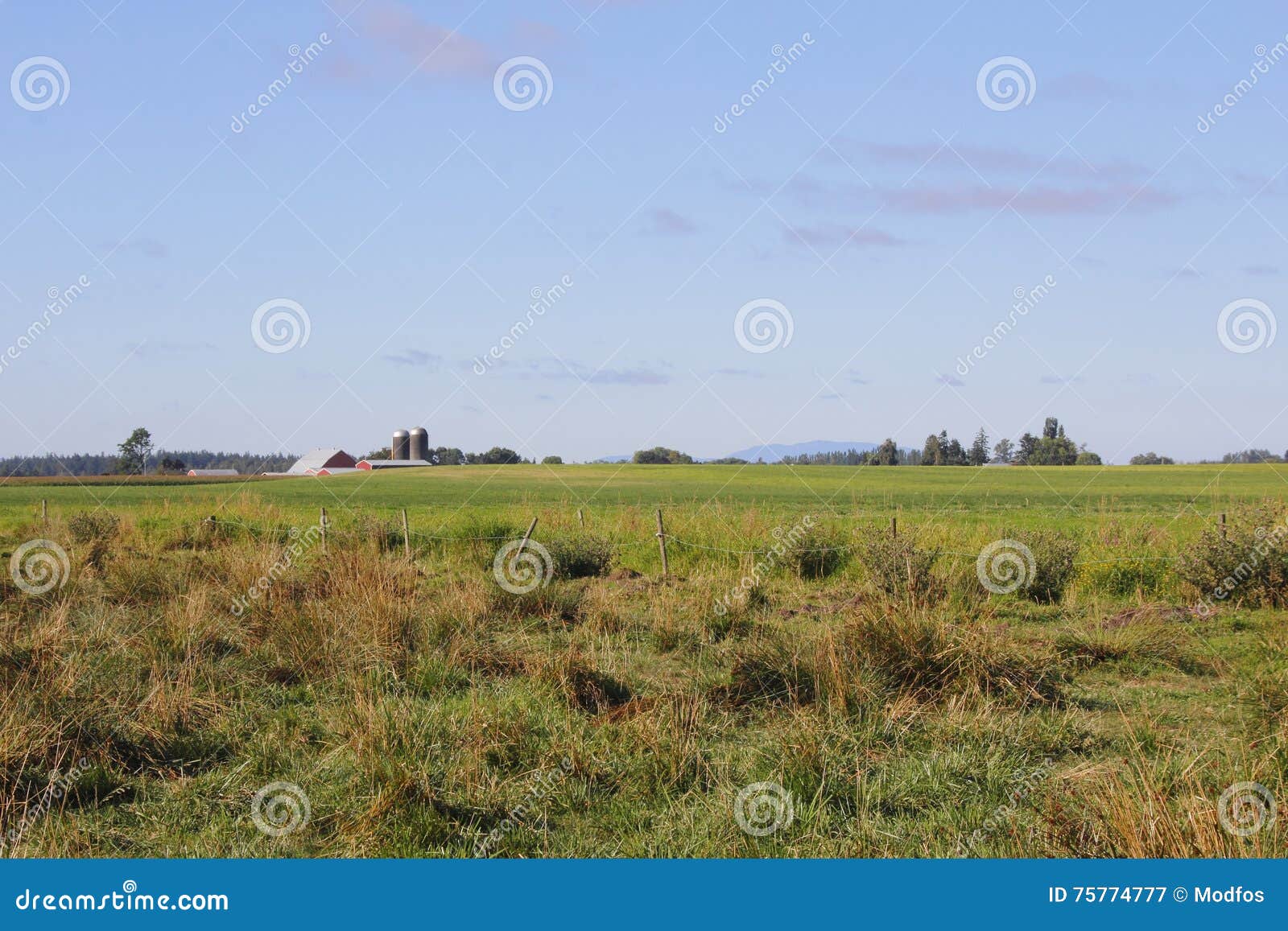Washington Farm Landscape stock image. Image of agriculture - 75774777