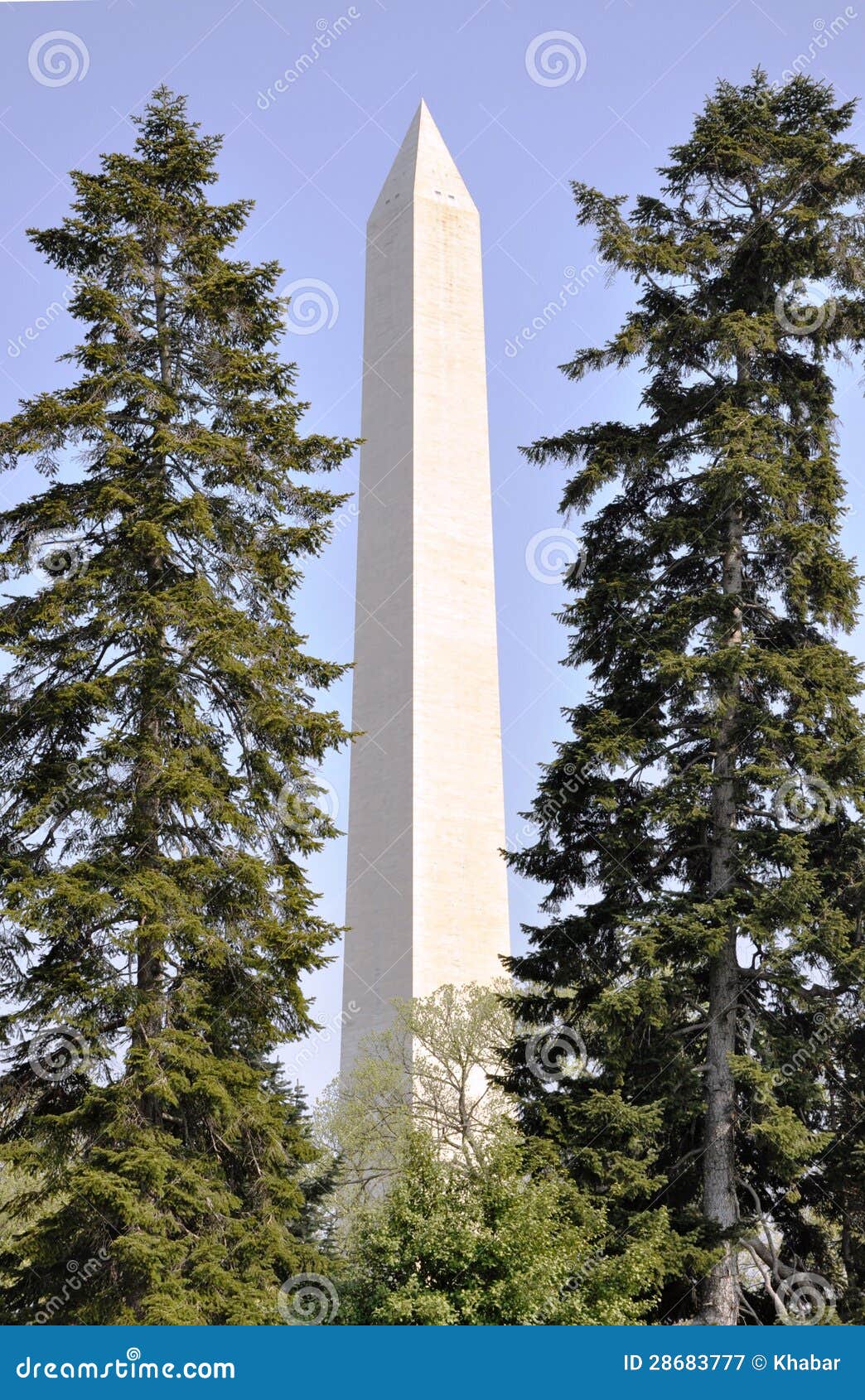 Washington Monument and Coniferous Trees. Stock Image - Image of ...