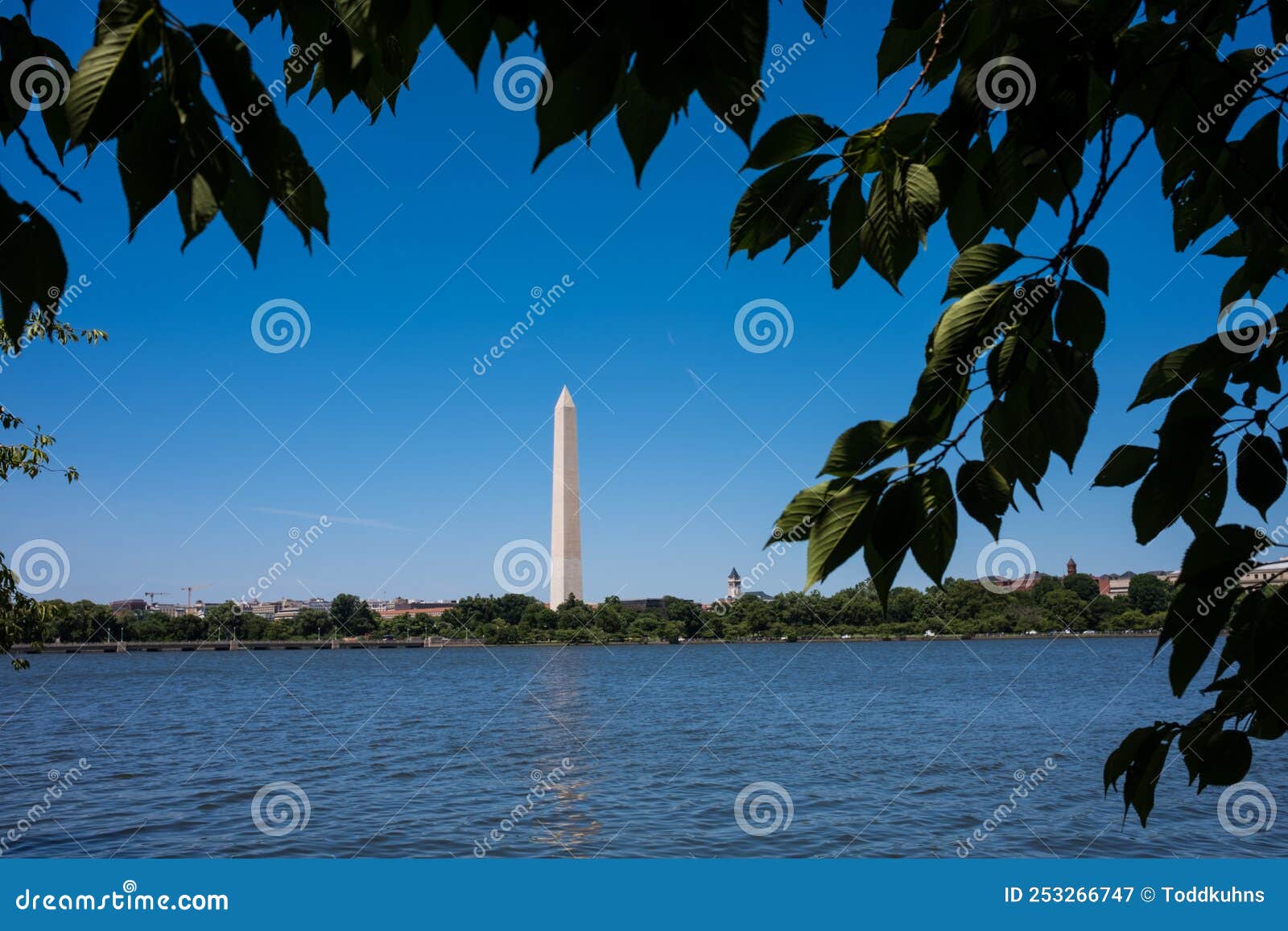 Washington Monument in Washington DC in the Summertime Stock Image ...