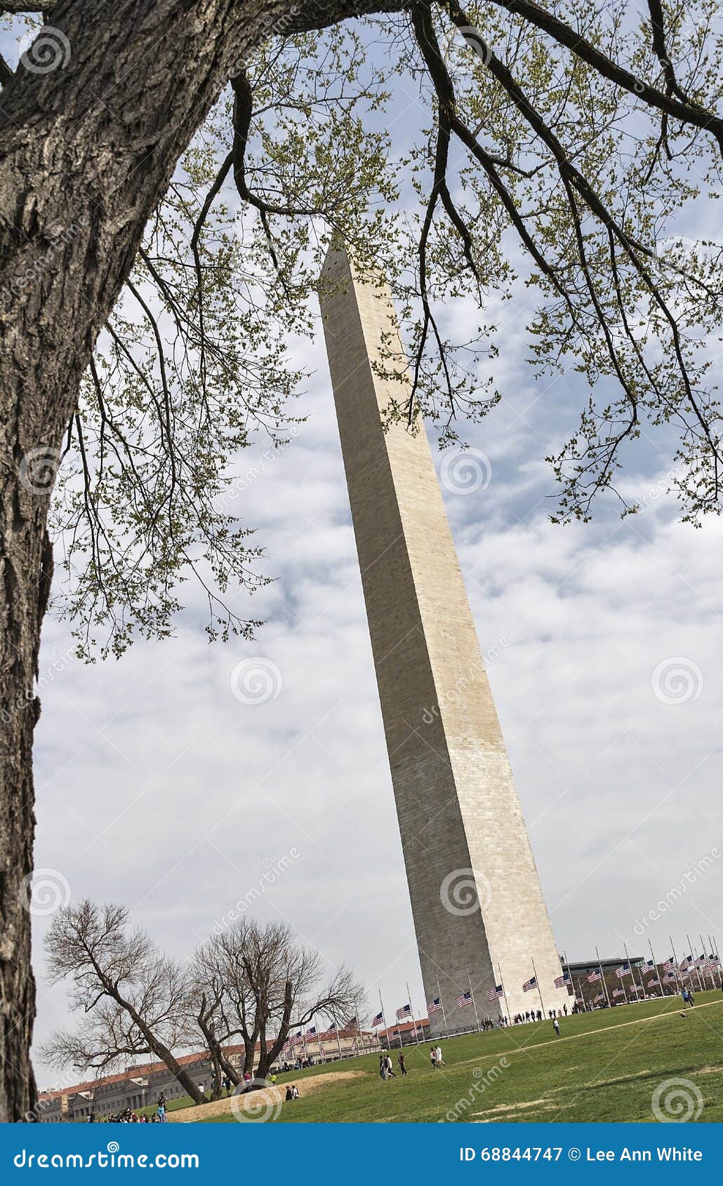 The Washington Monument in Early Spring Stock Image - Image of place ...