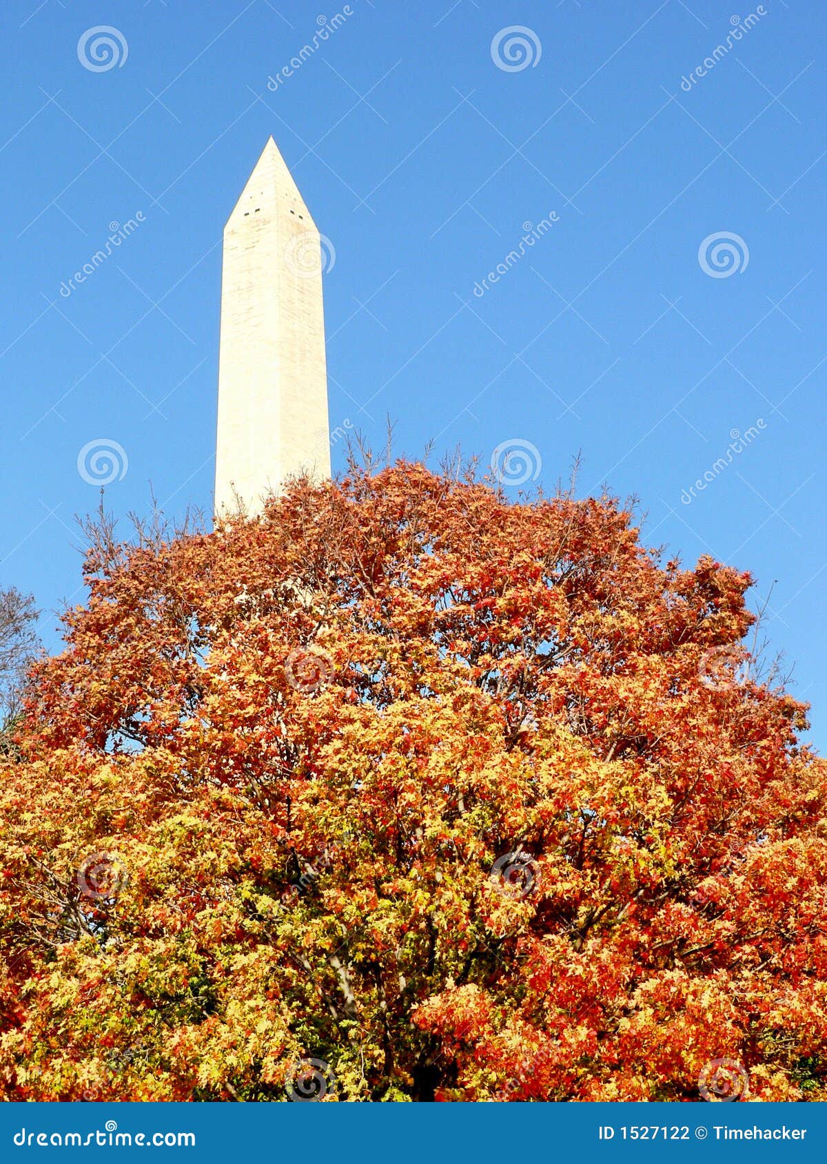 Washington Monument in Fall Stock Photo - Image of colour, blue: 1527122