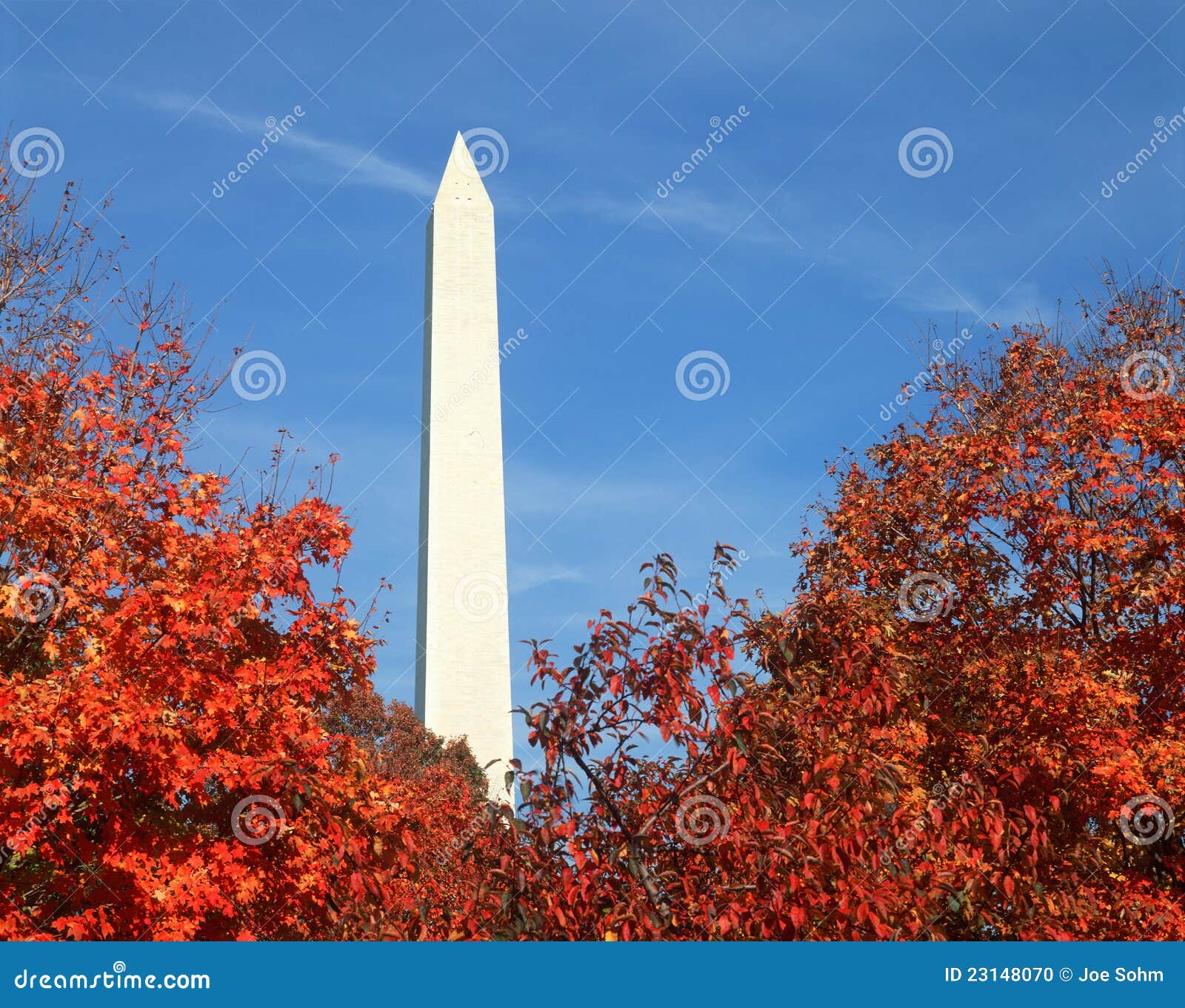 Washington Monument in Fall Stock Photo - Image of national, plants ...