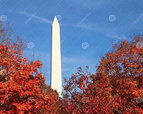 Washington Monument in Fall Stock Photo - Image of national, plants ...