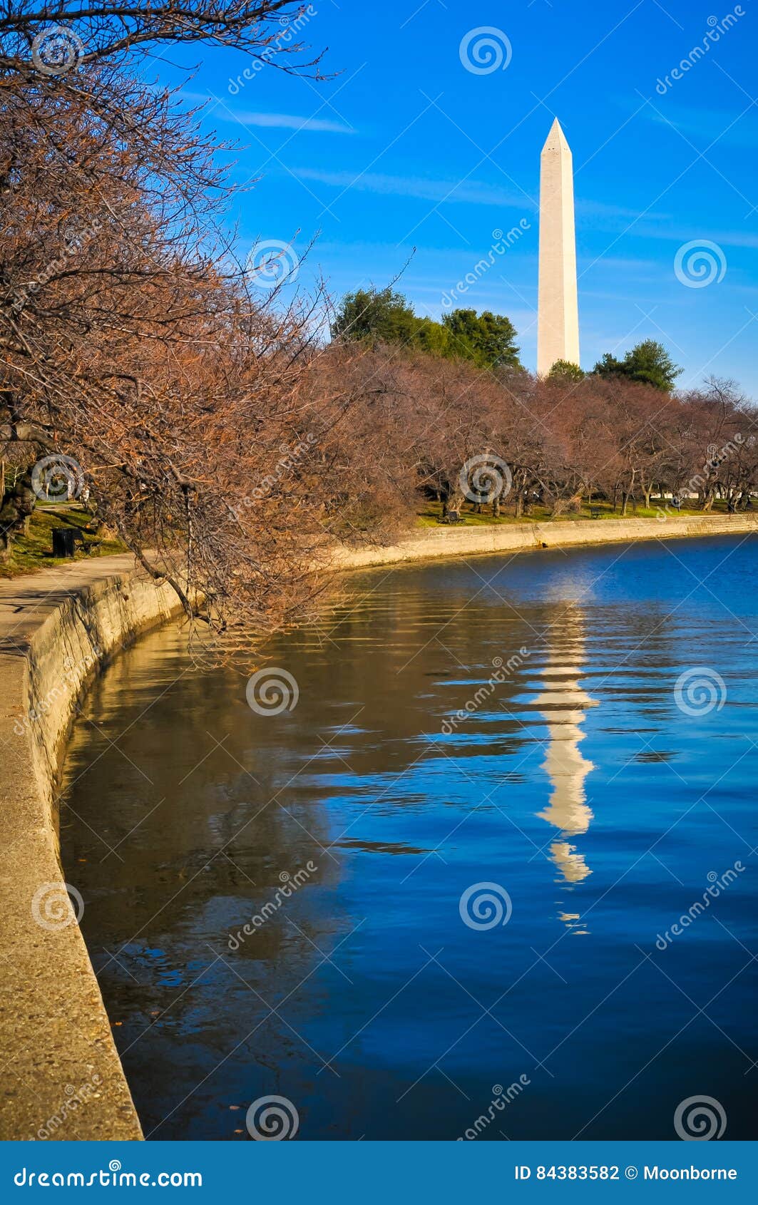Washington Monument Reflection Stock Photo - Image of lighting ...