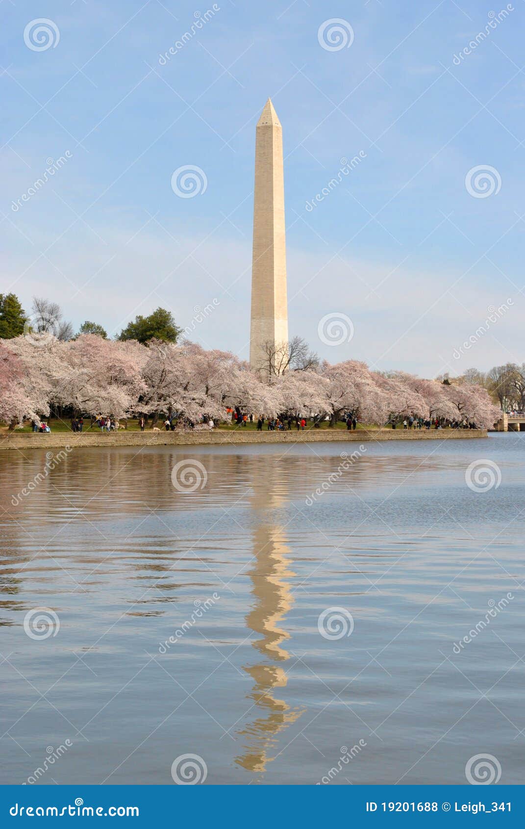 Washington Monument in the Spring Stock Photo - Image of flora, flag ...