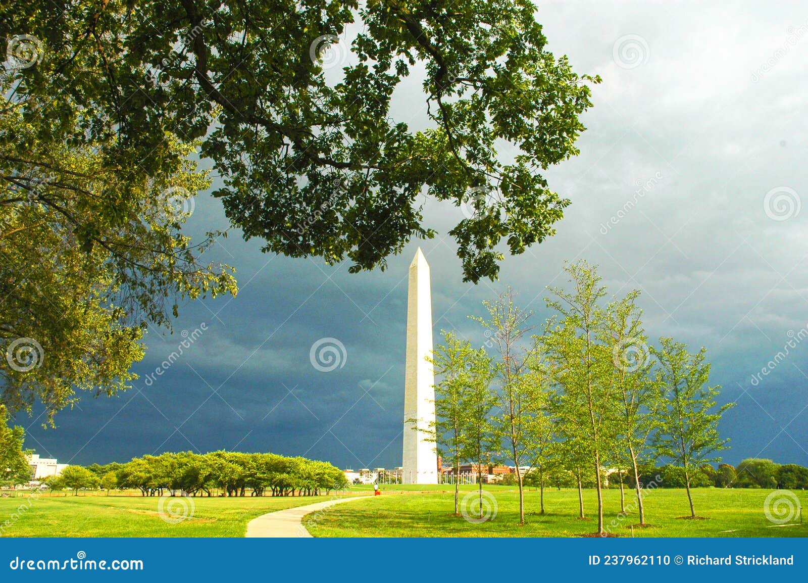 Washington Monument stock photo. Image of woodland, leaf - 237962110