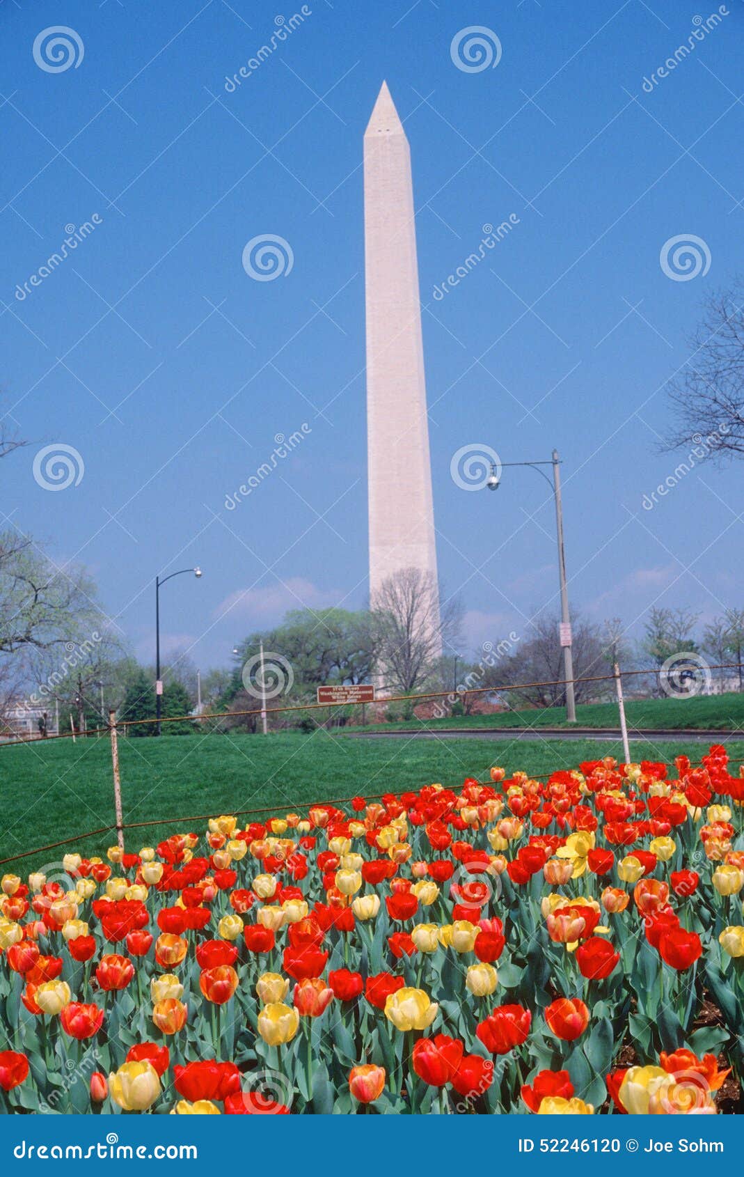 Washington Monument with Tulips in Spring, Washington D.C Stock Photo ...
