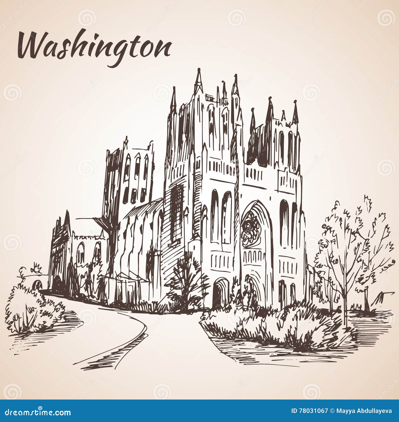 Washington National Vector Drawing Map On White Background ...