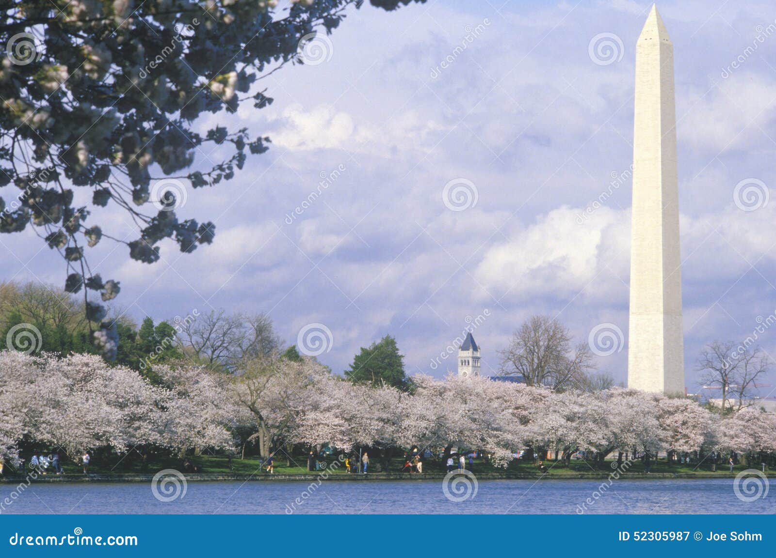 The Washington National Monument in Springtime, Washington, D.C Stock ...