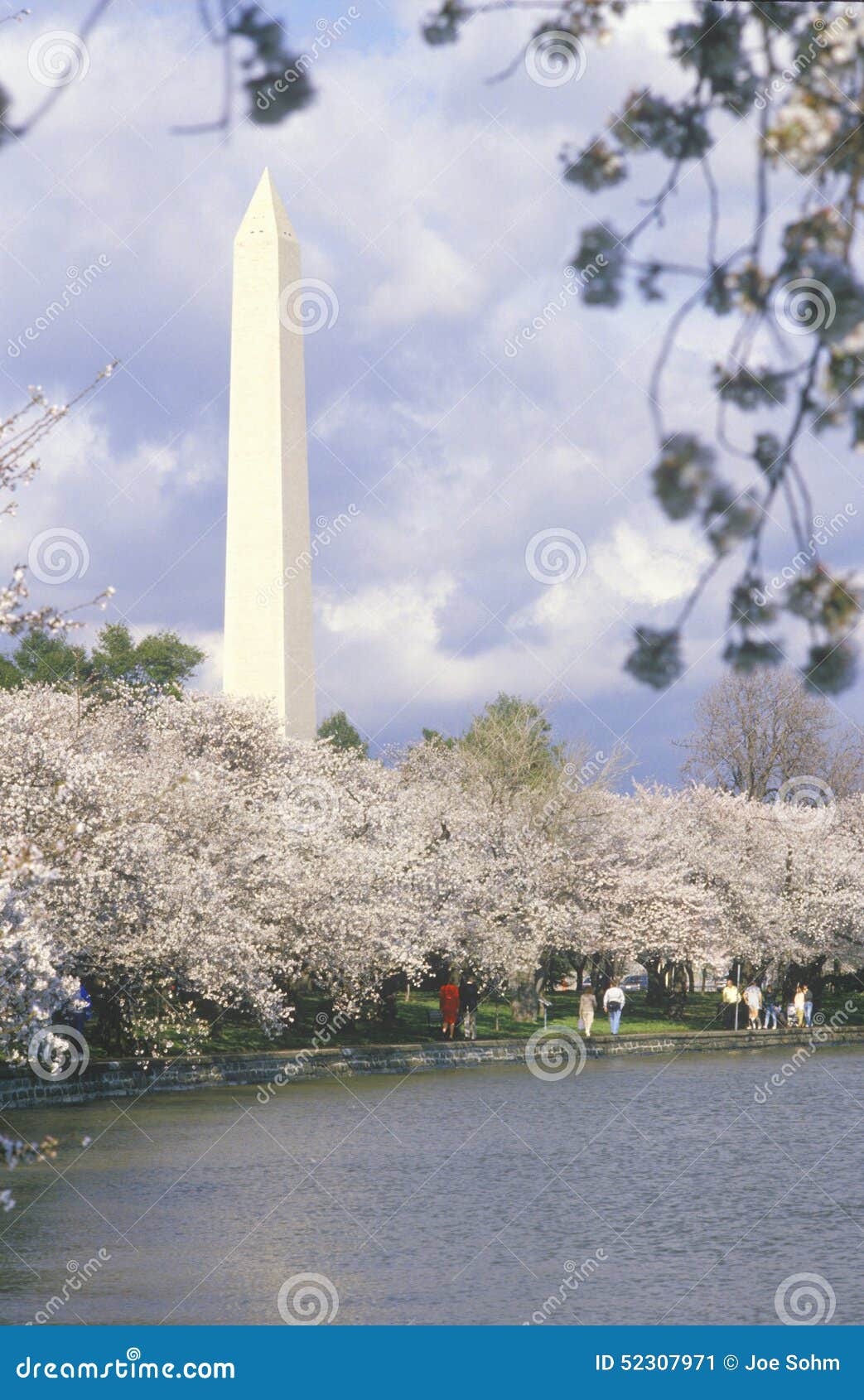 The Washington National Monument in Springtime, Washington, D.C ...