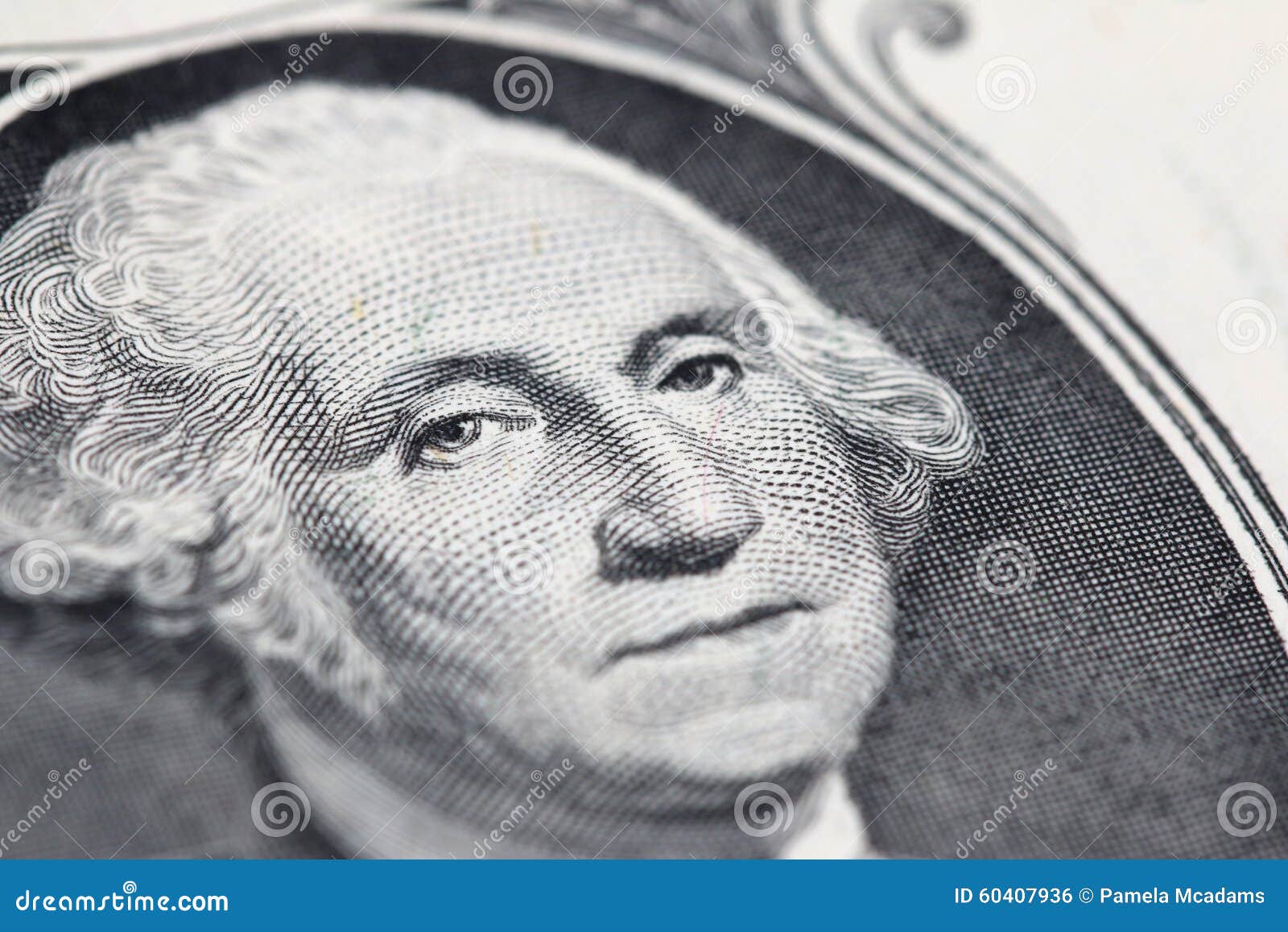 Washington on a One Dollar Bill Stock Photo - Image of business, bill ...