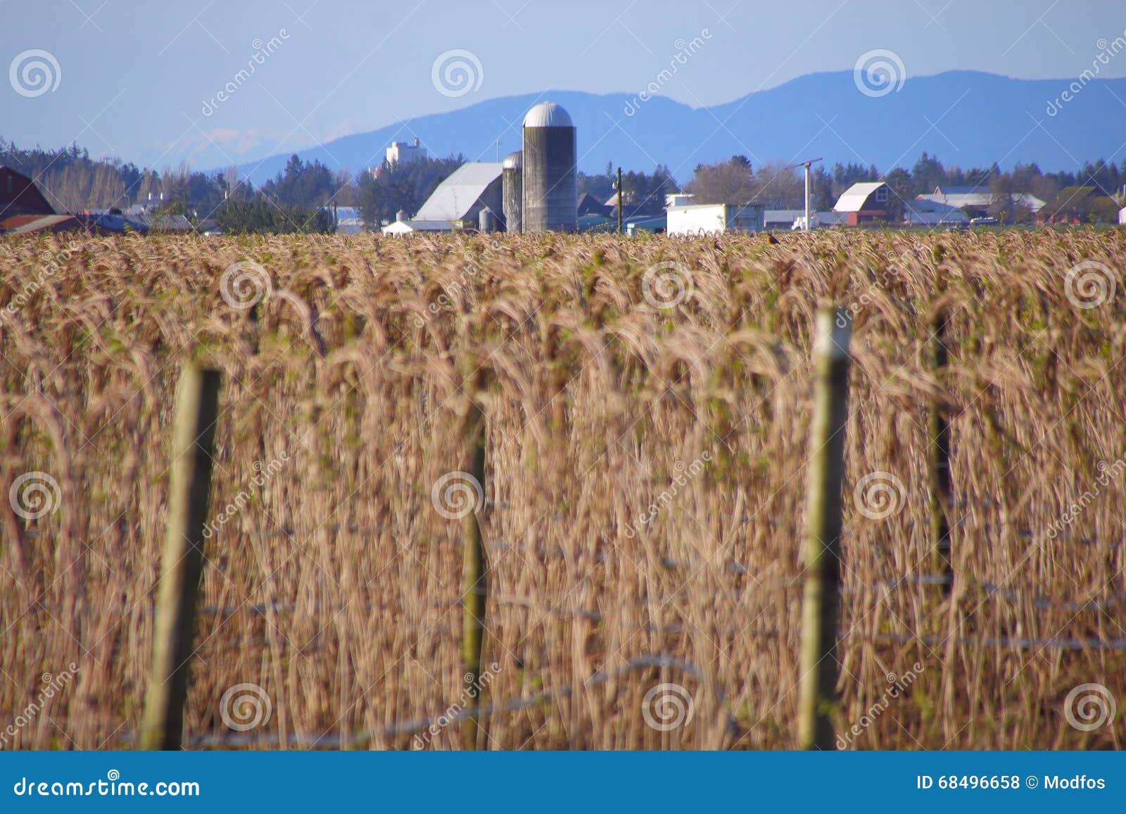 Washington Rural Farm Land stock photo. Image of america - 68496658