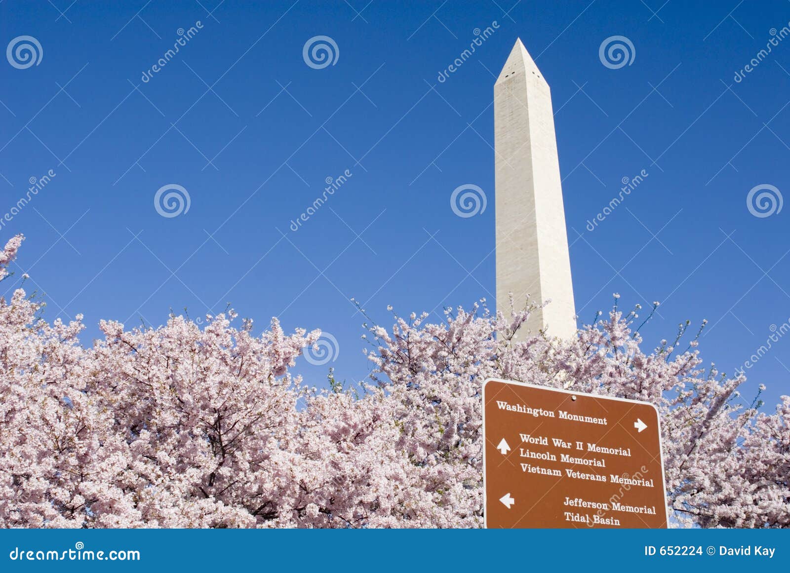Washington in Spring stock photo. Image of attraction, pink - 652224