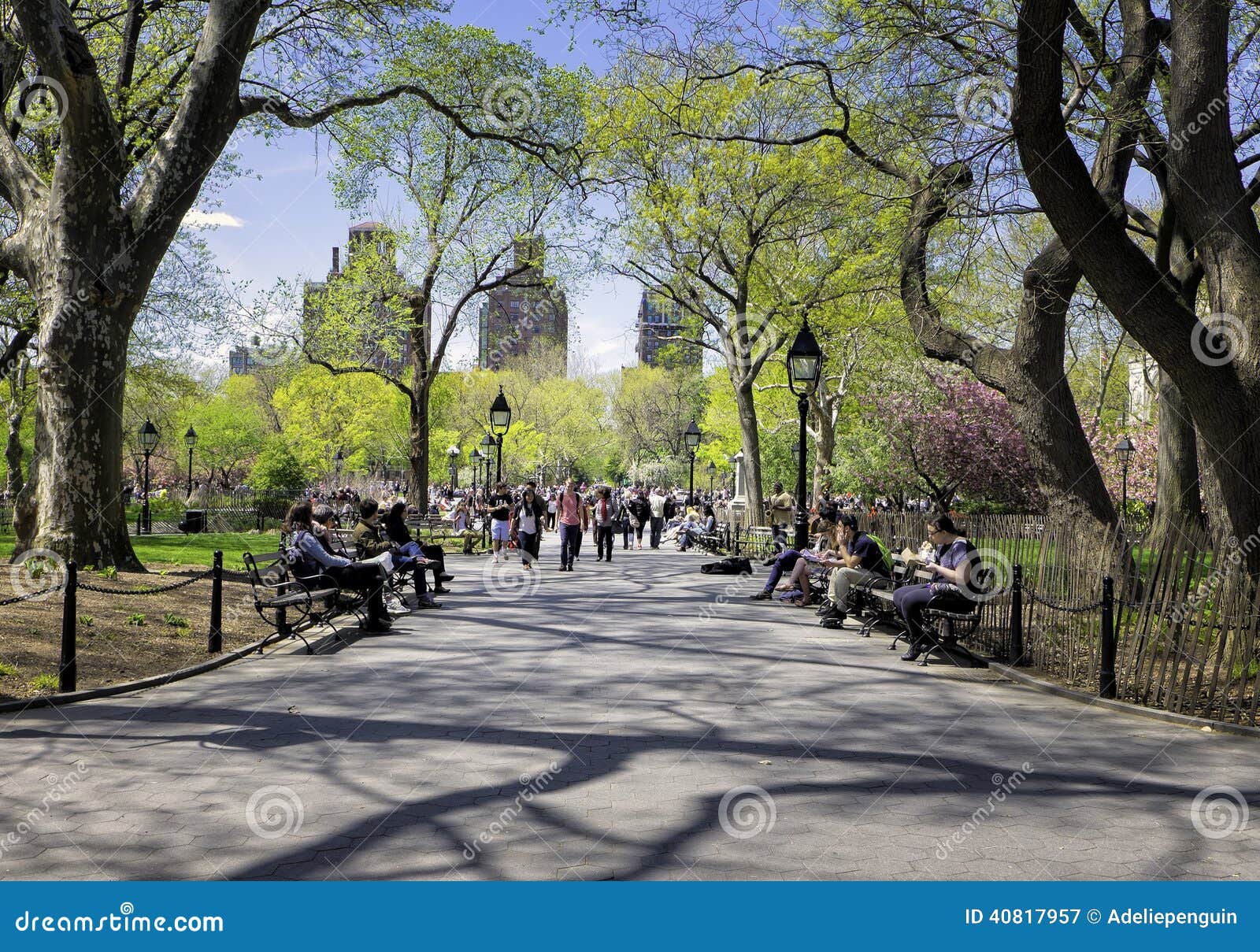 Washington Square Park, Nueva York Fotografía editorial - Imagen de ...
