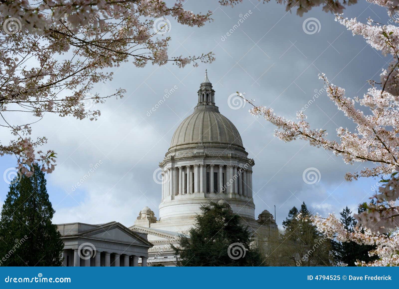Washington State Capitol in Spring Stock Image - Image of united ...
