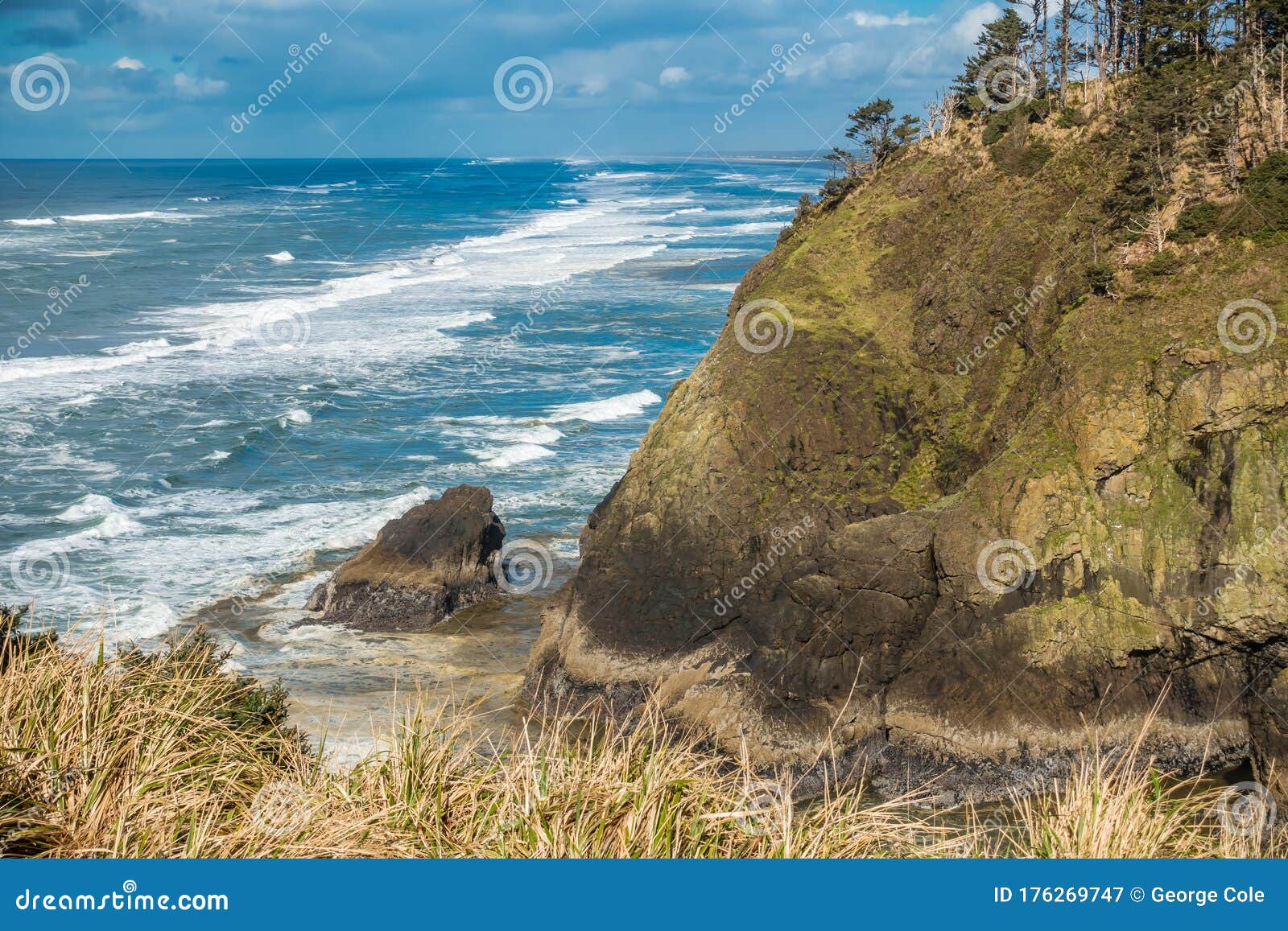 Washington State Coast 3 stock image. Image of landscape - 176269747