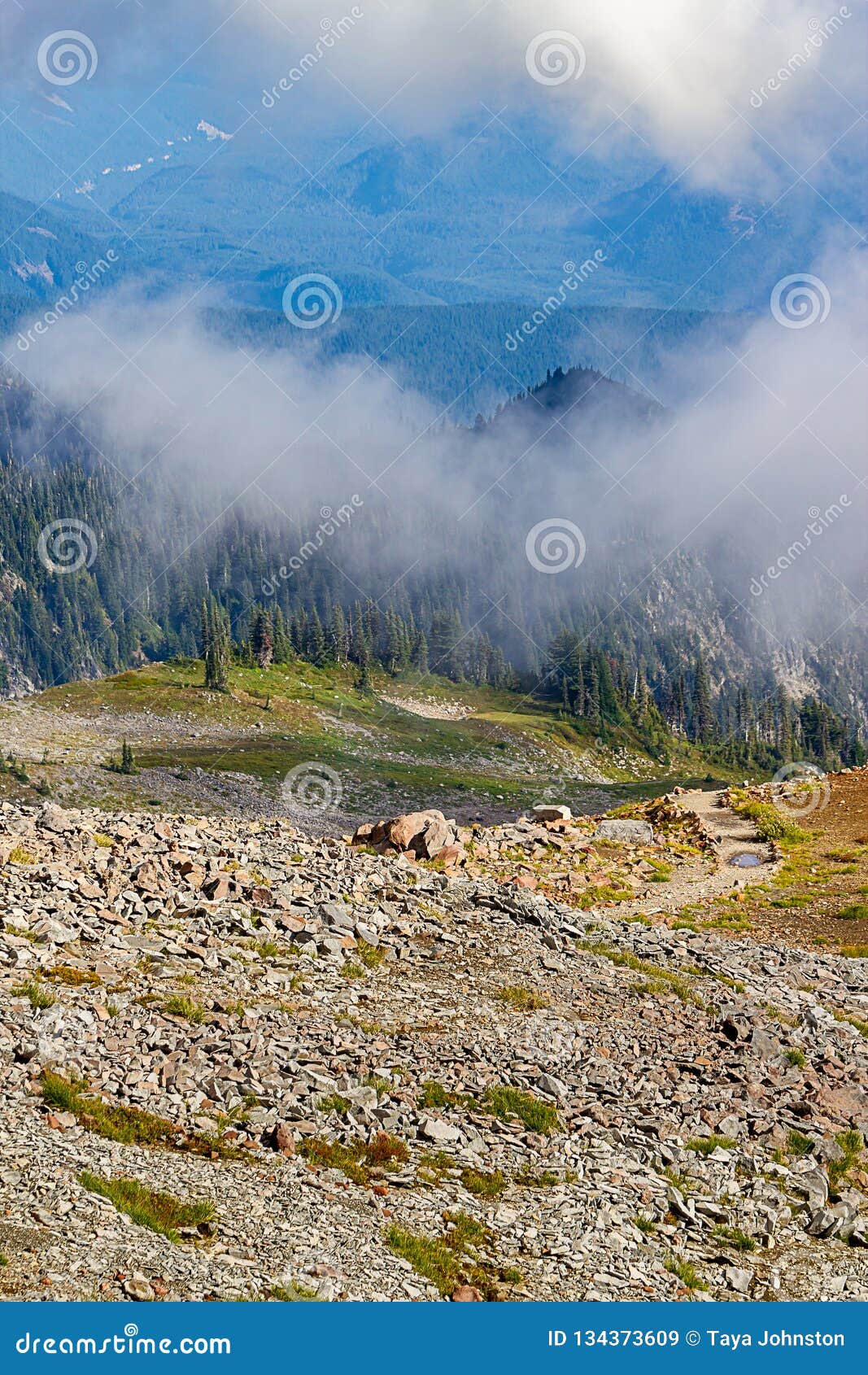 Washington State Lookout with Rocky Surface Overlooking Forest Stock ...