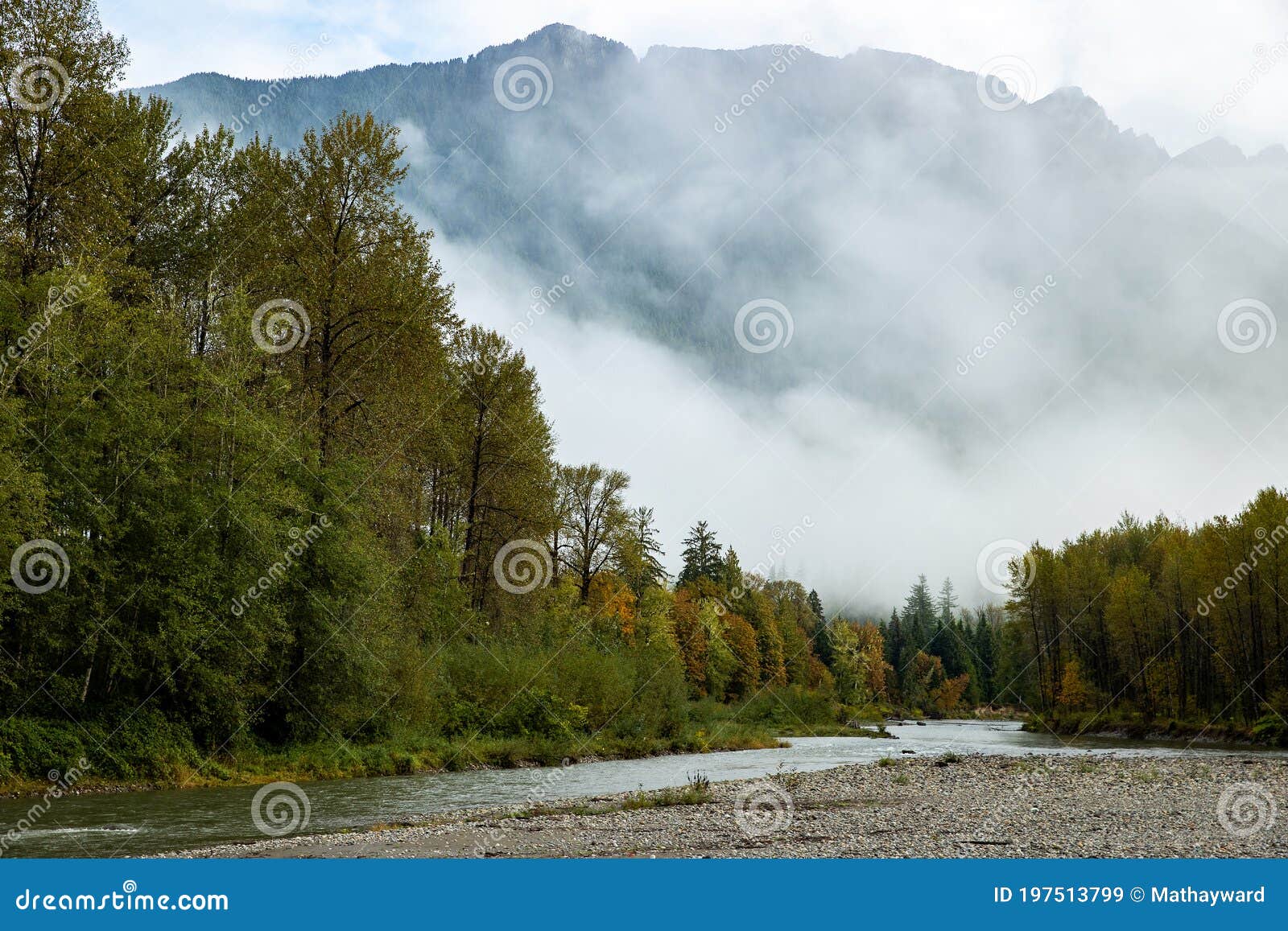 Washington State River Flowing Under a Forest Filled with Fall Colored ...