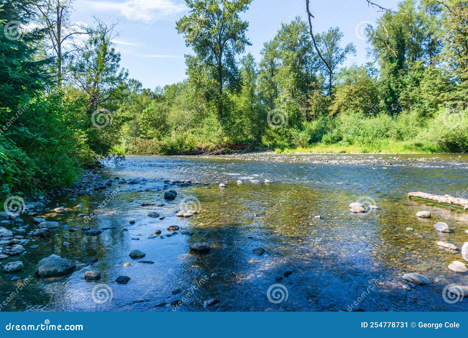 Washington State River 2 stock image. Image of washington - 254778731