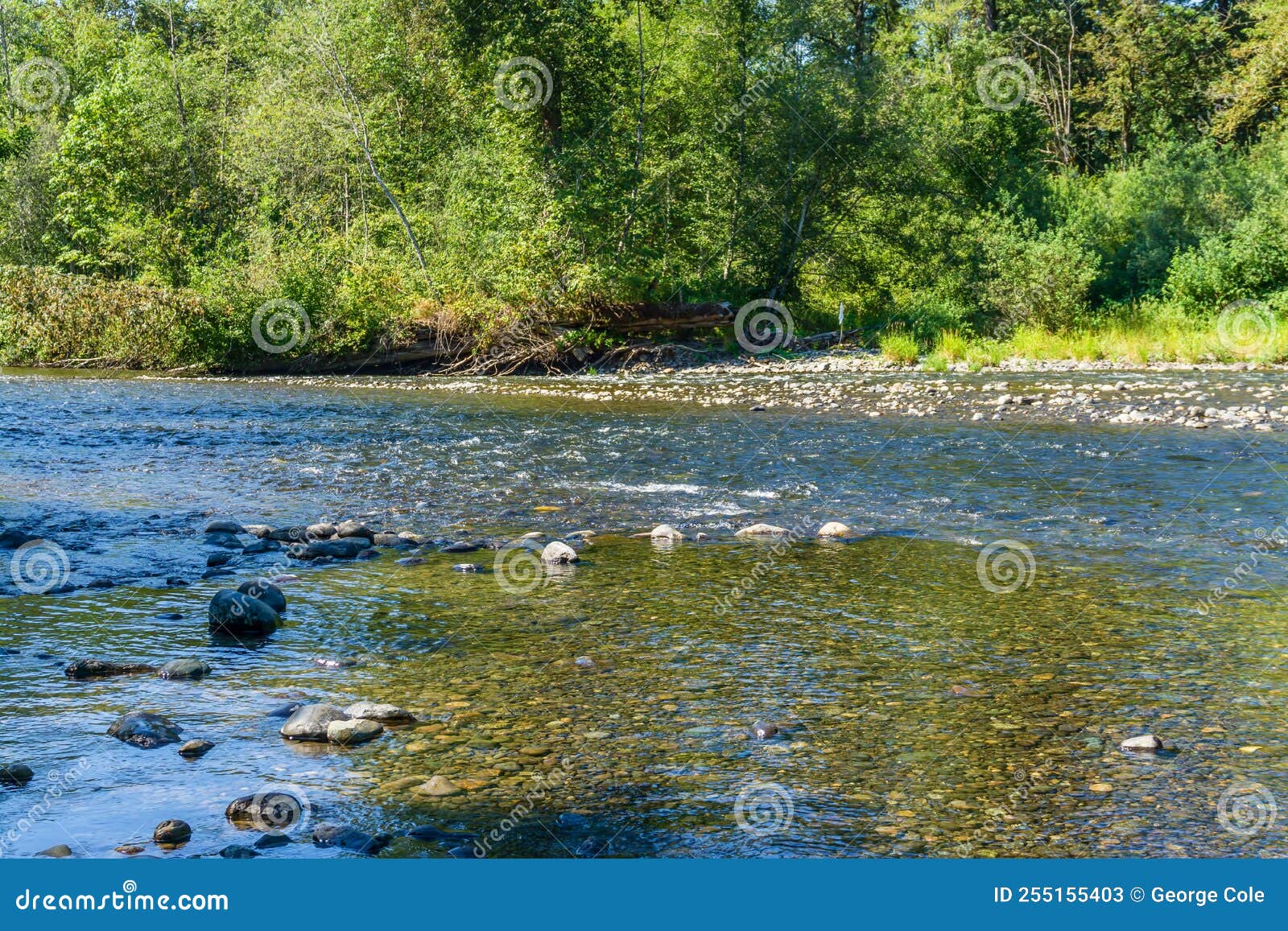 Washington State River stock image. Image of outdoors - 255155403