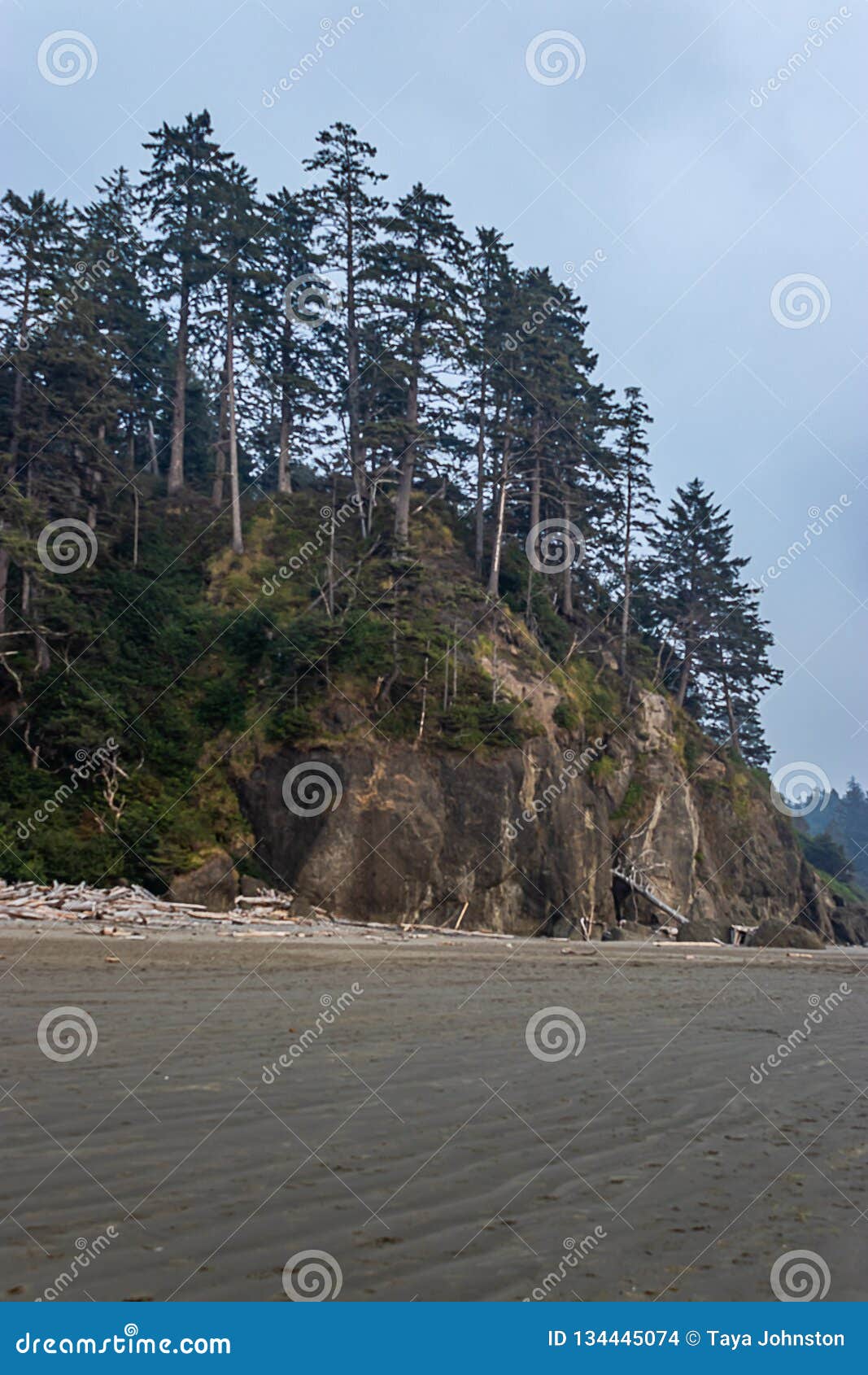 Washington State Shore Line and Sand in Summer Stock Photo - Image of ...
