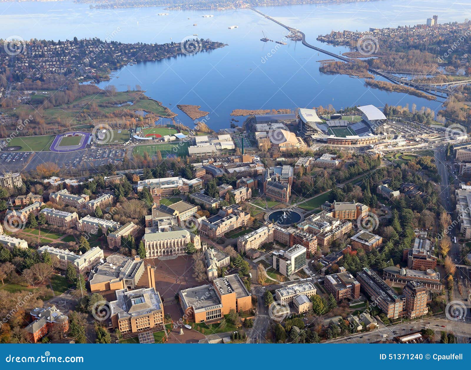 Washington University stock photo. Image of huskies, stone - 51371240