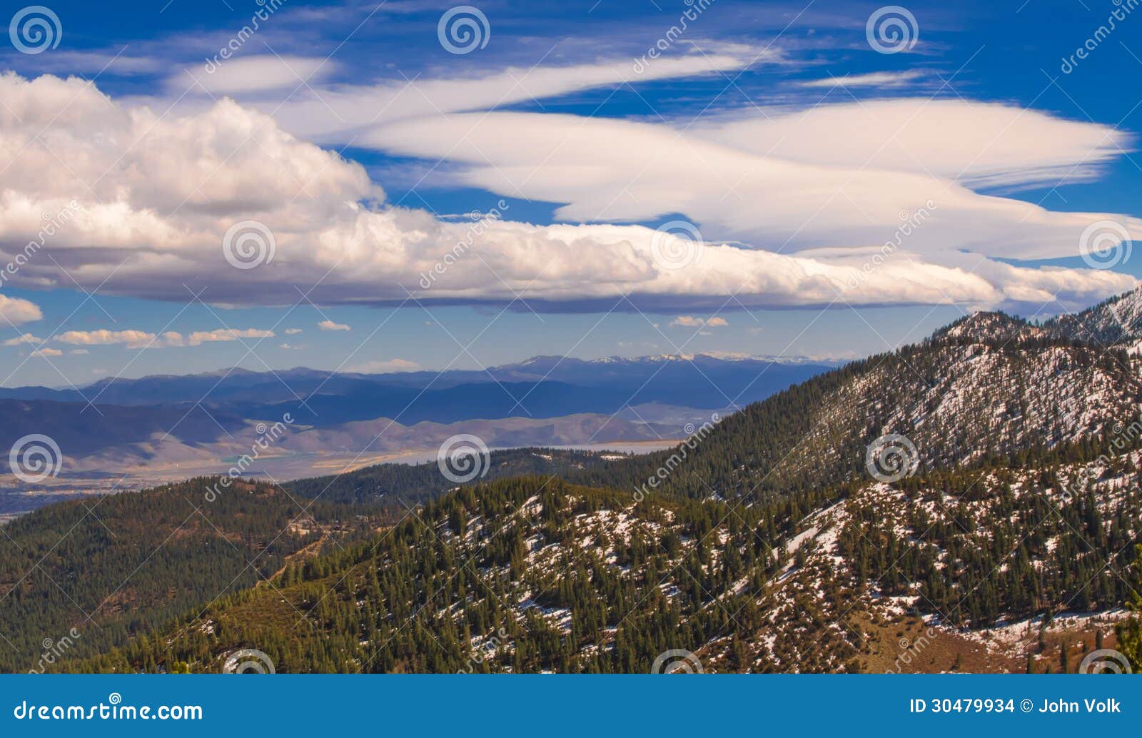 Carson Rose Stock Photos - Free & Royalty-Free Stock Photos from Dreamstime