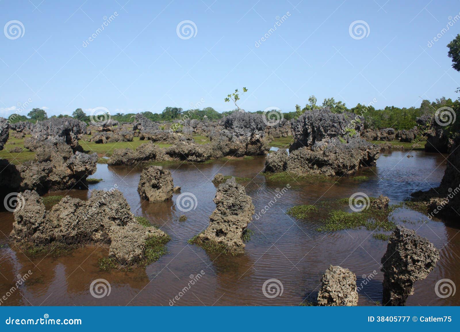 Wasini Island stock image. Image of nature, green, water - 38405777