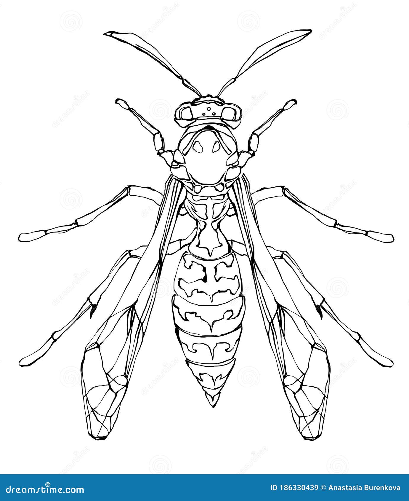 Wasp32 Vector Outline Hornet Hand Drawn Style Stock Vector ...