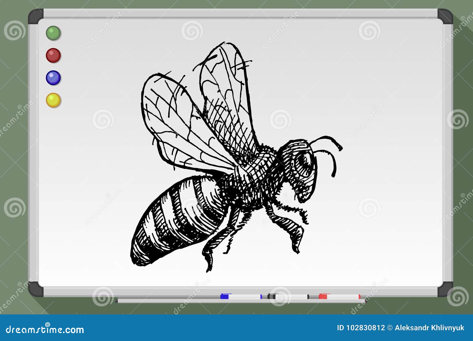 Hornet Illustration On White Background Cartoon Vector | CartoonDealer ...