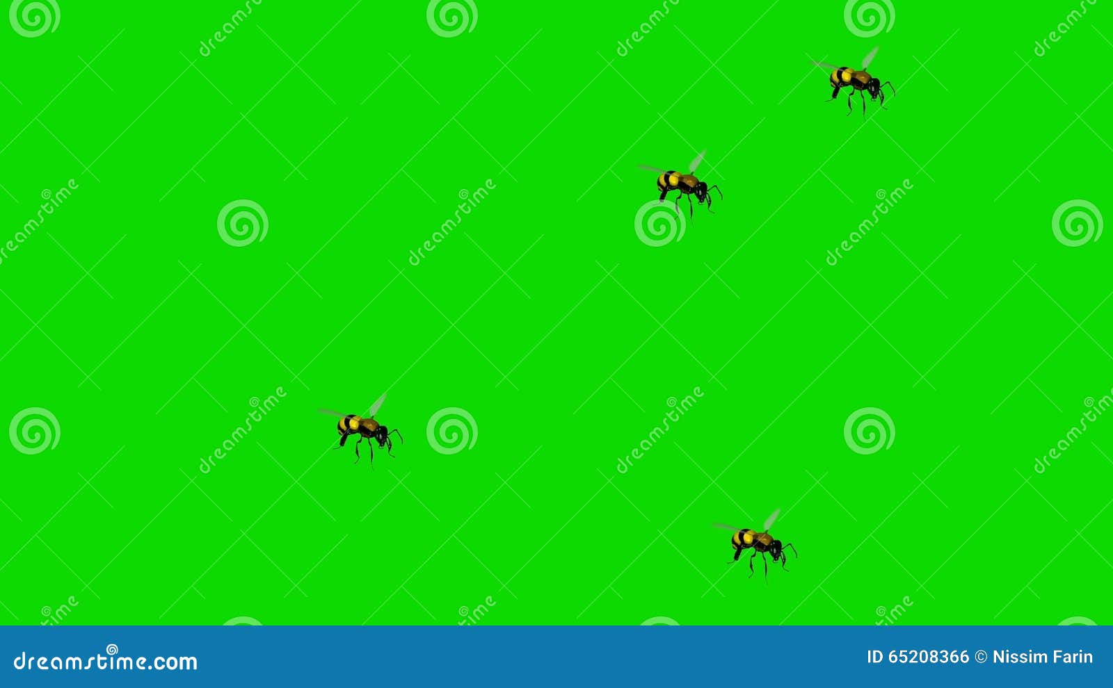 Wasp Bee Swarm Flying Green Screen Background Stock Footage & Videos ...