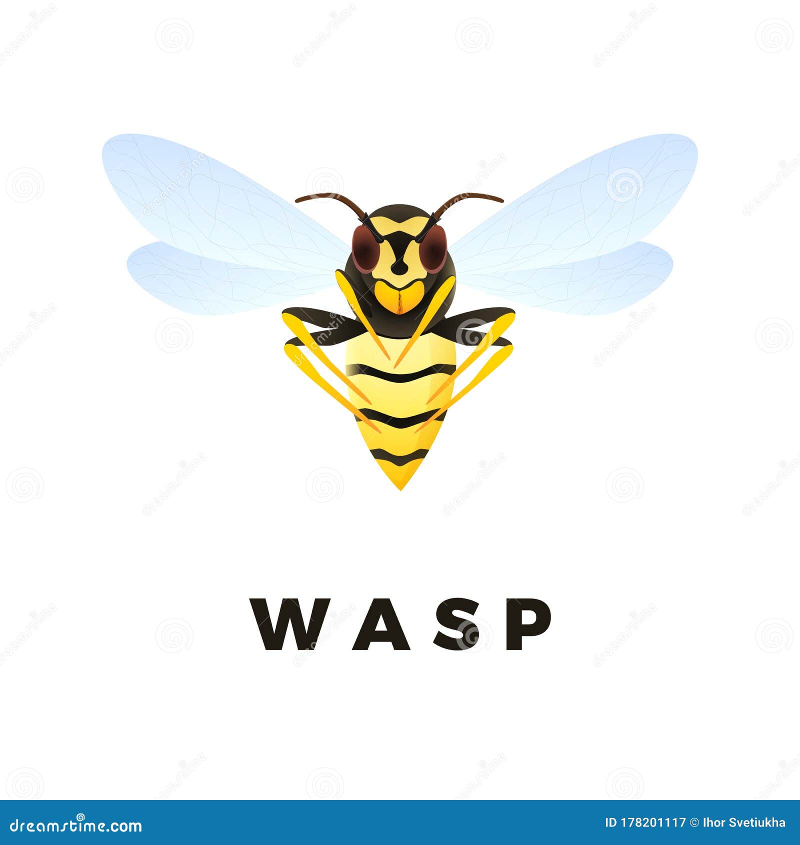 Wasp Cartoon | CartoonDealer.com #31130967
