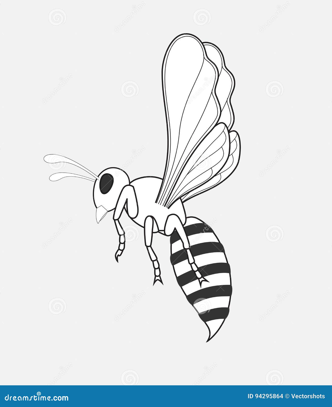 Wasp Drawing stock vector. Illustration of head, parasite - 94295864
