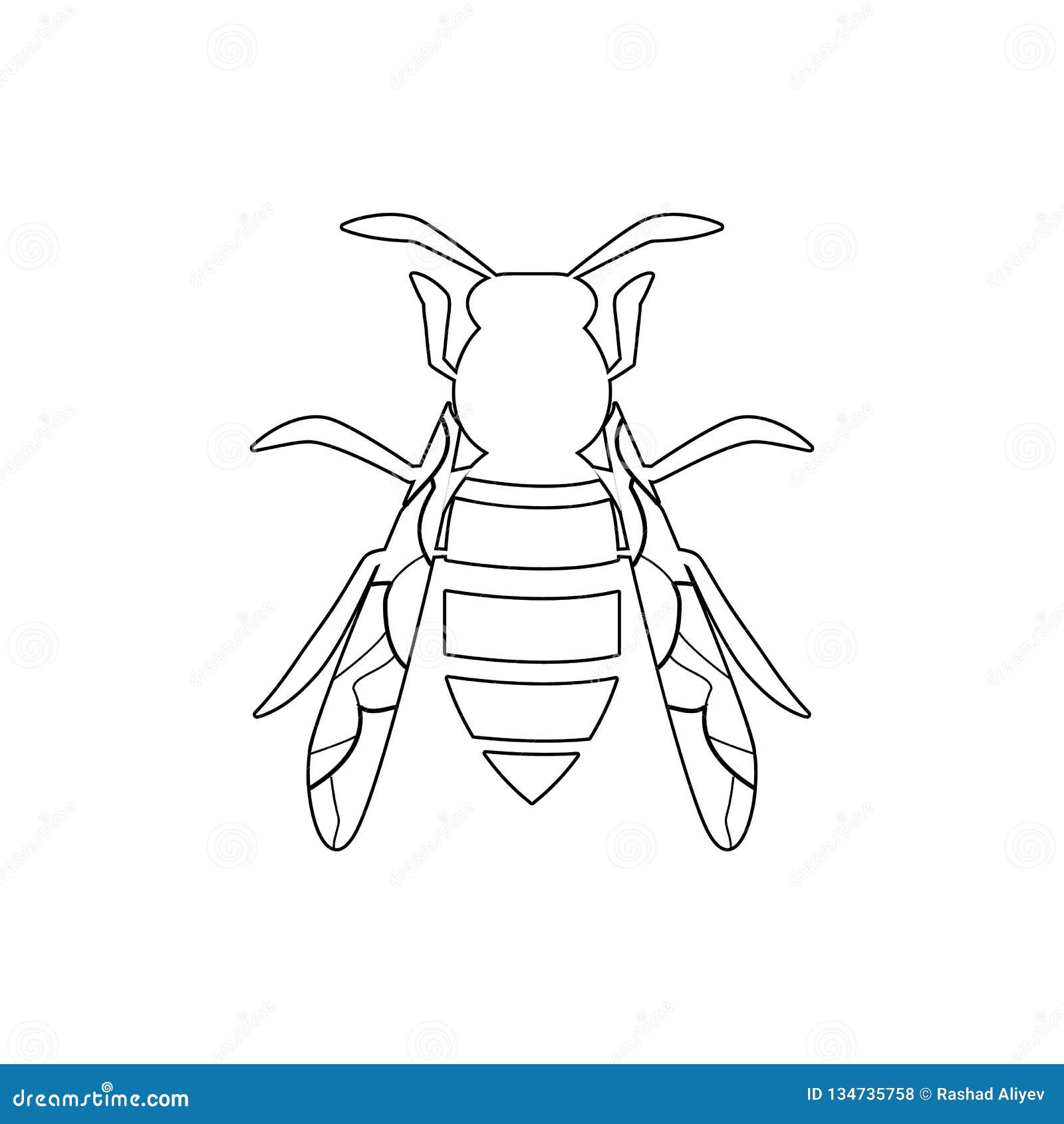 Wasp Icon. Element of Insect for Mobile Concept and Web Apps Icon Stock ...