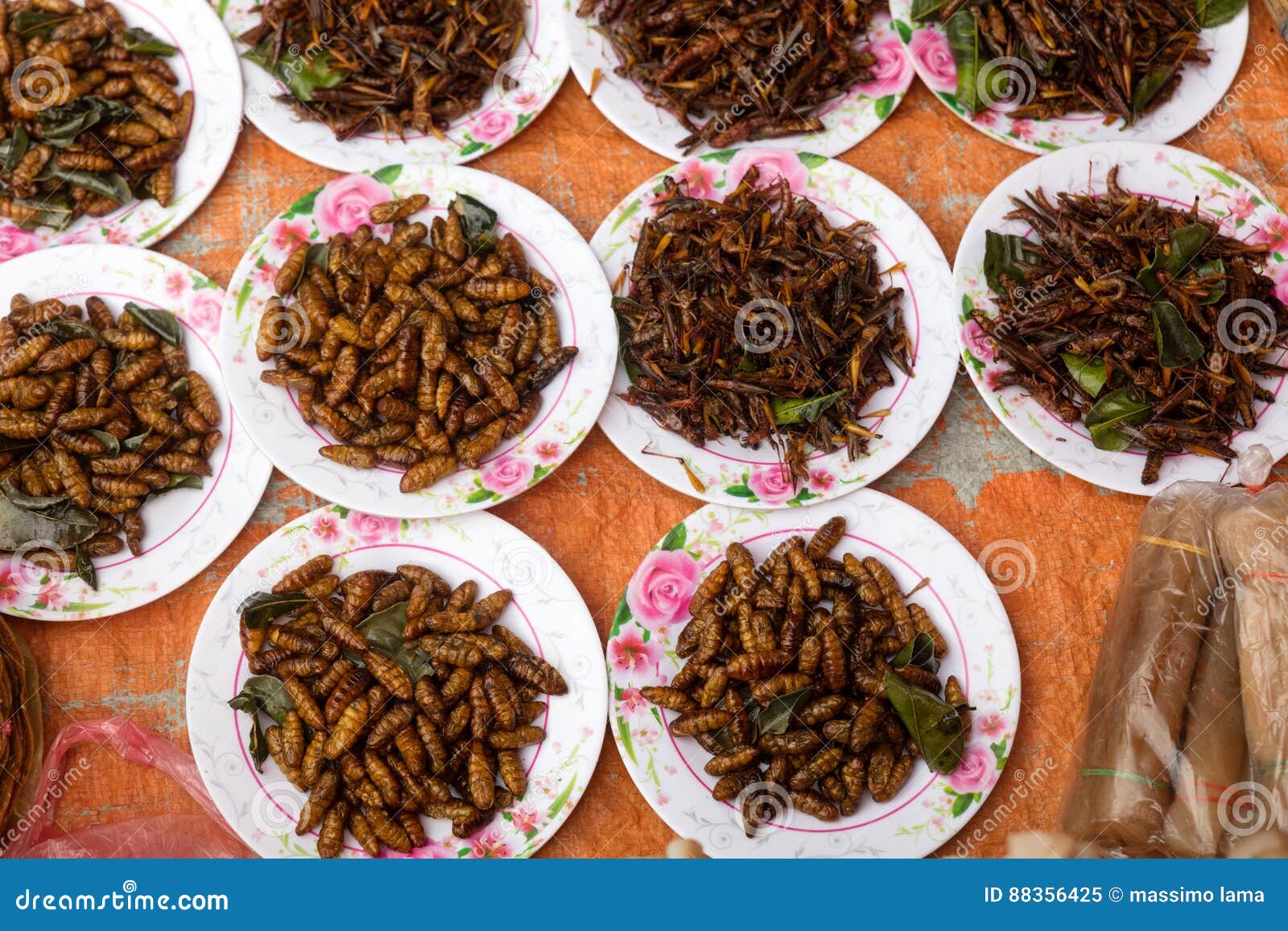 Wasp Larvae,Can Be Used To Cook,Is A Rare High Protein Food Royalty ...