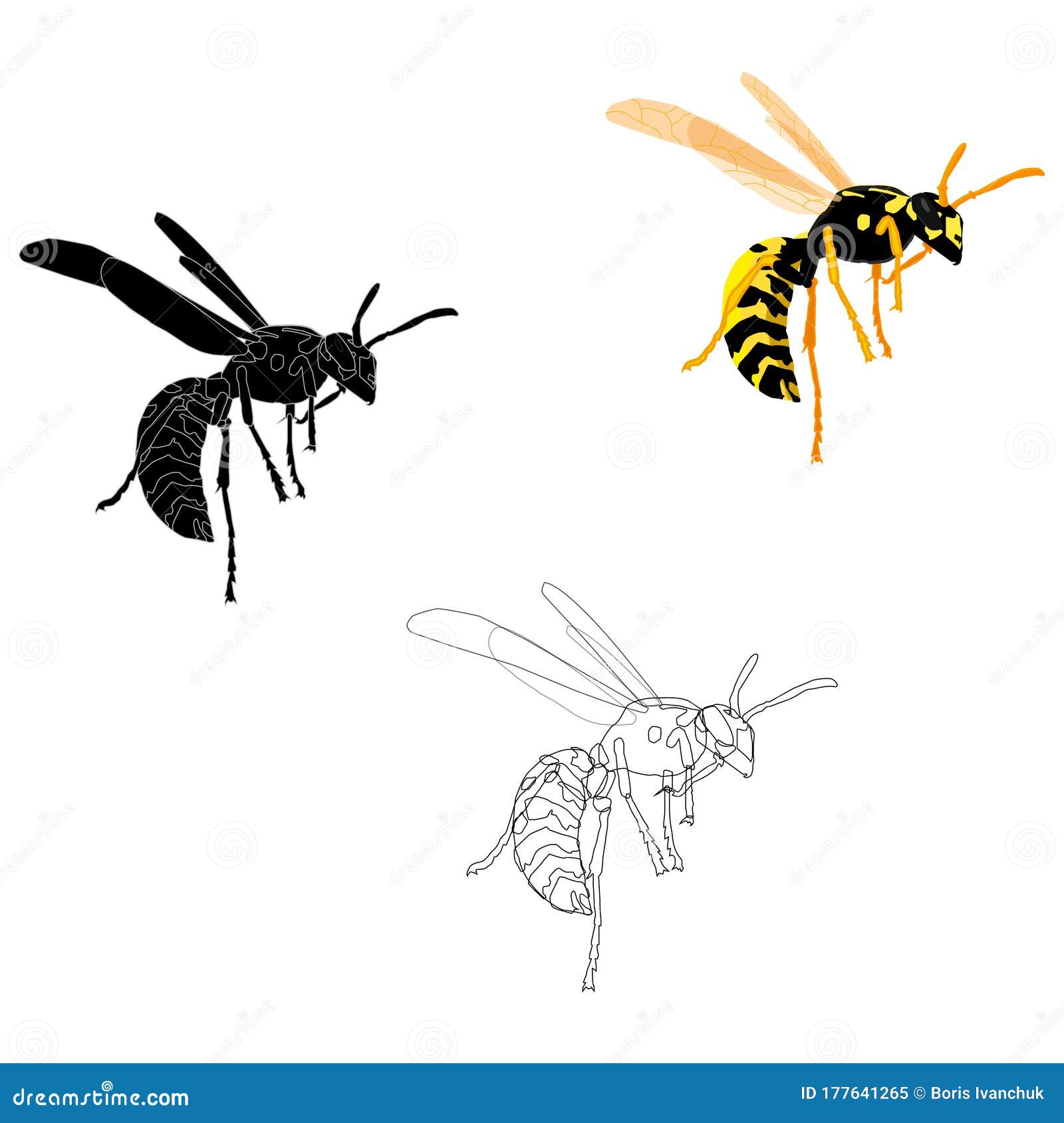 The Wasp is Made in Three Variations, Line, Silhouette, Realism. Vector ...
