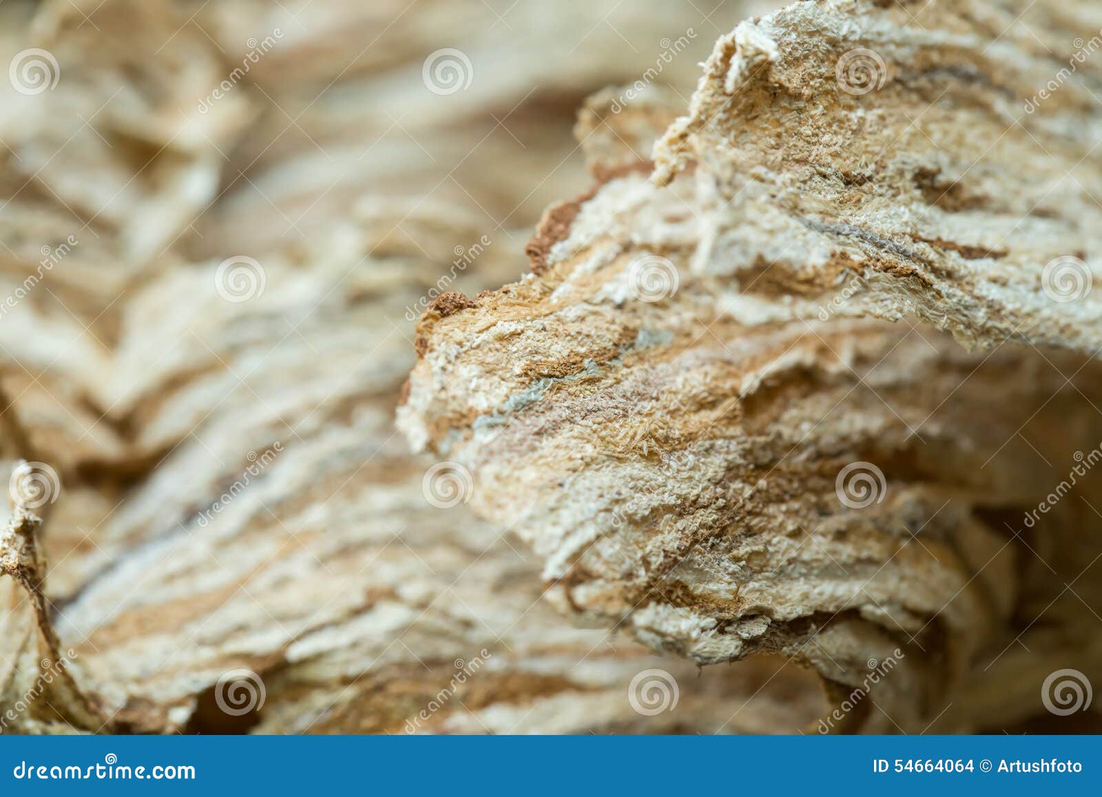 Wasp Nest Texture Background Stock Photo - Image of cell, natural: 54664064