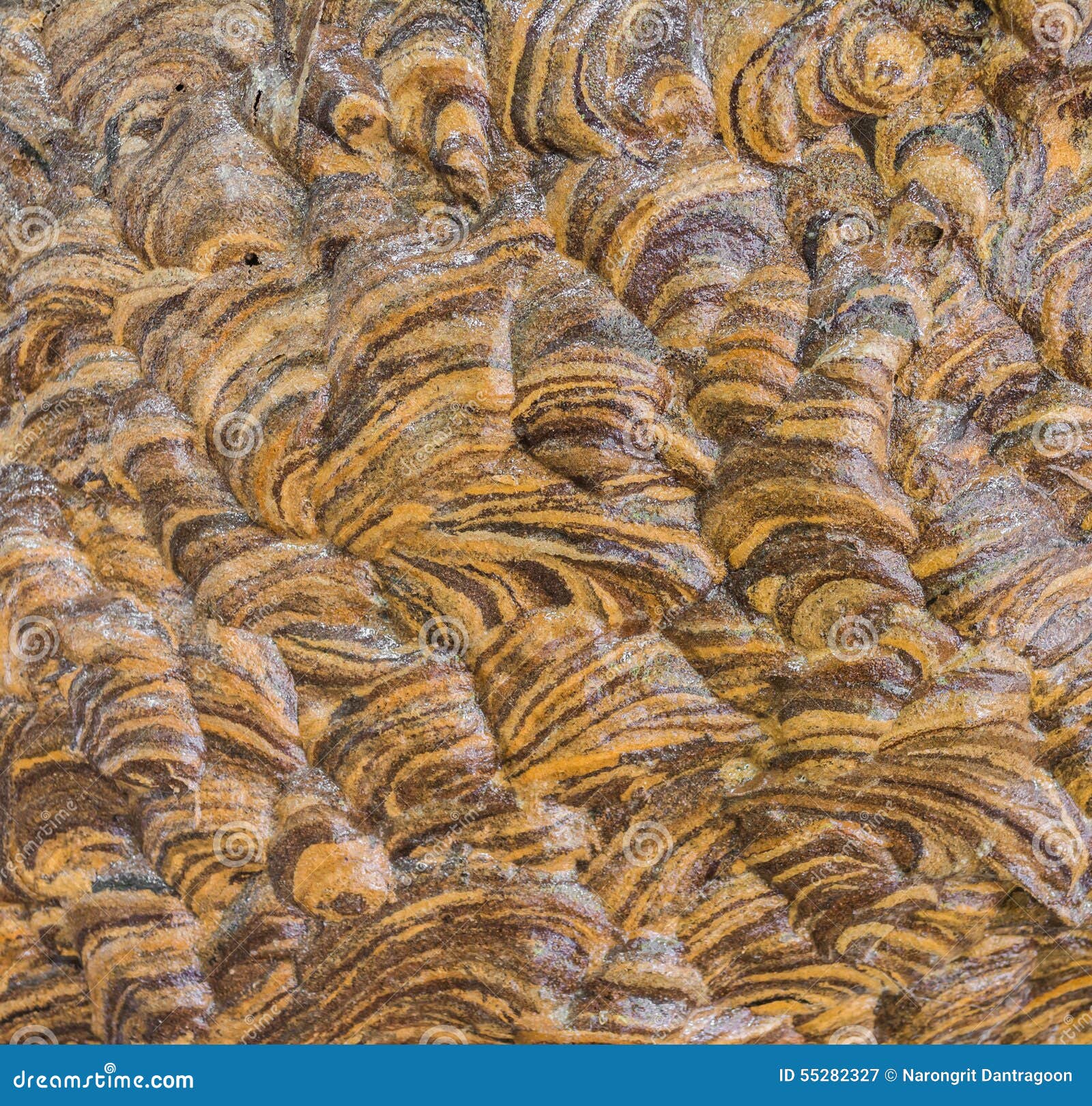 Wasp Nest Texture Stock Image | CartoonDealer.com #55282327