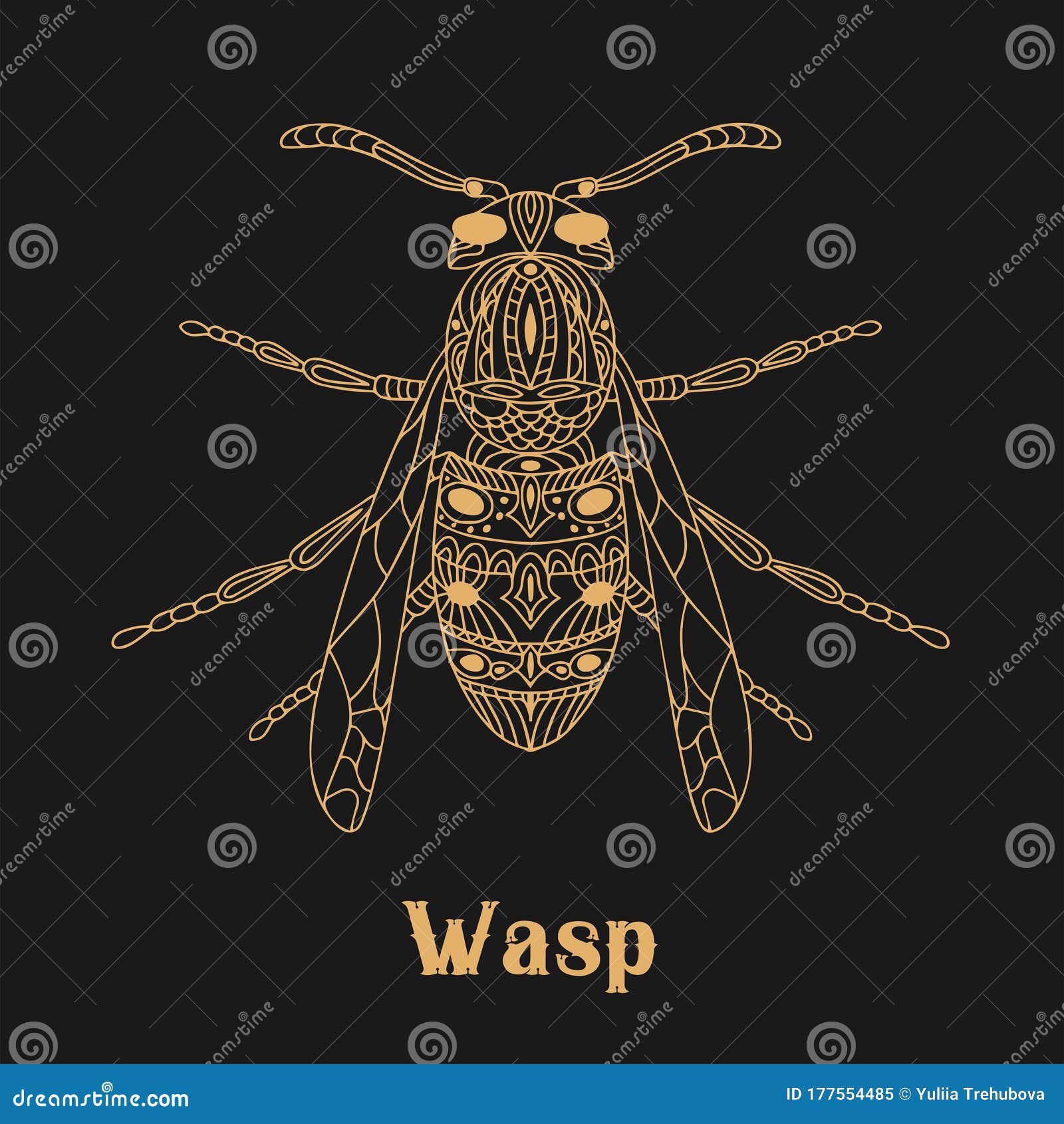 Wasp Bee Outline Realistic. Vector Graphic Illustration. Summer Vector ...