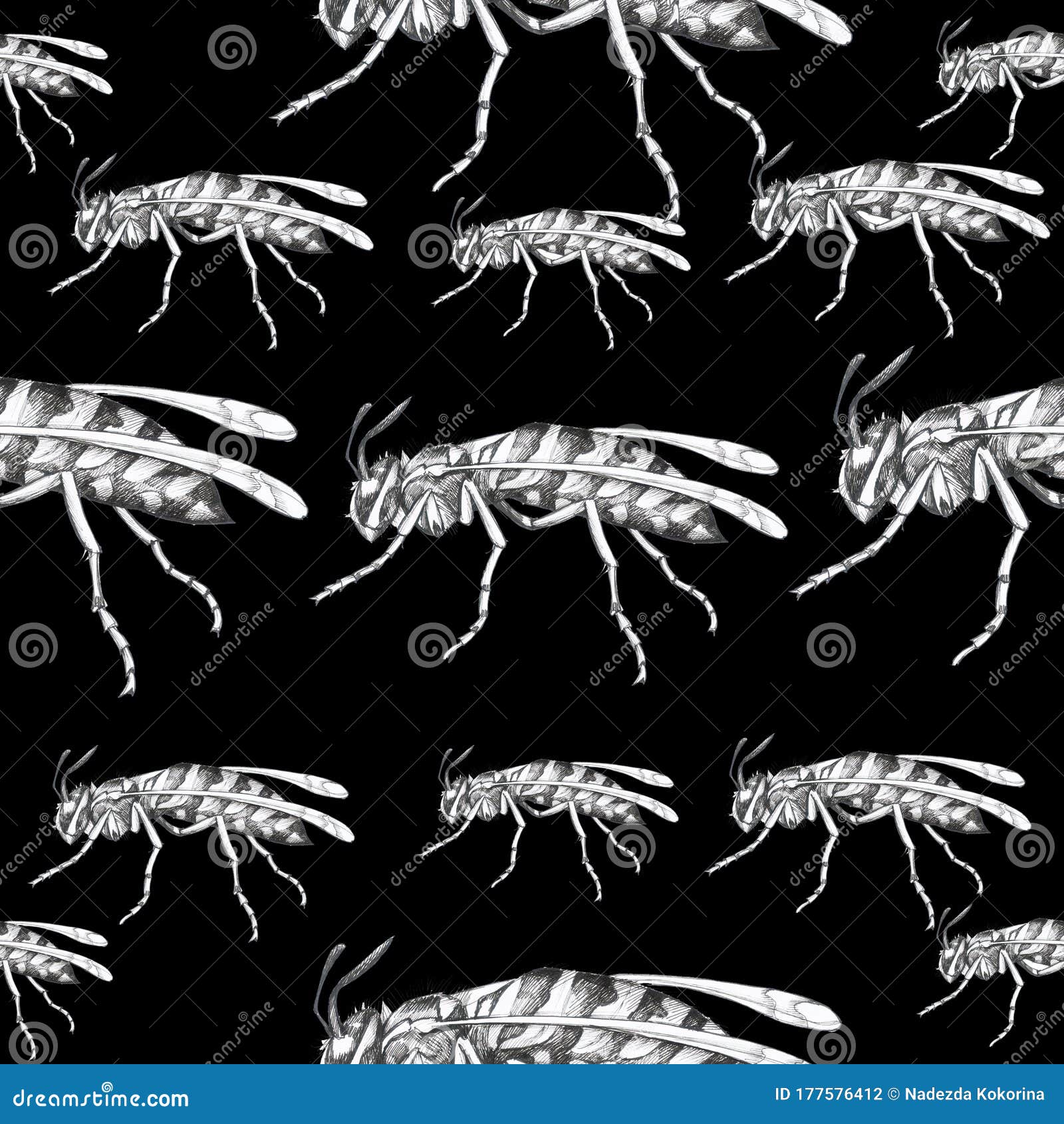 Wasp Pattern Outline Realistic. Vector Graphic Illustration. Summer ...